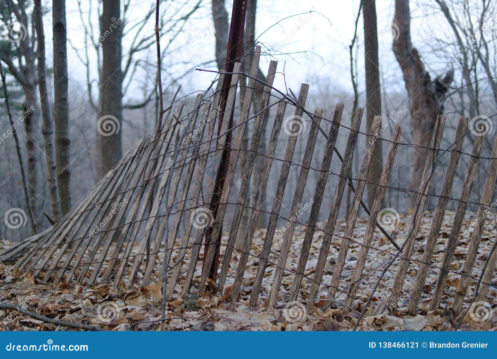 Forest Fence Falling Over with Trees in the Background Stock Image ...