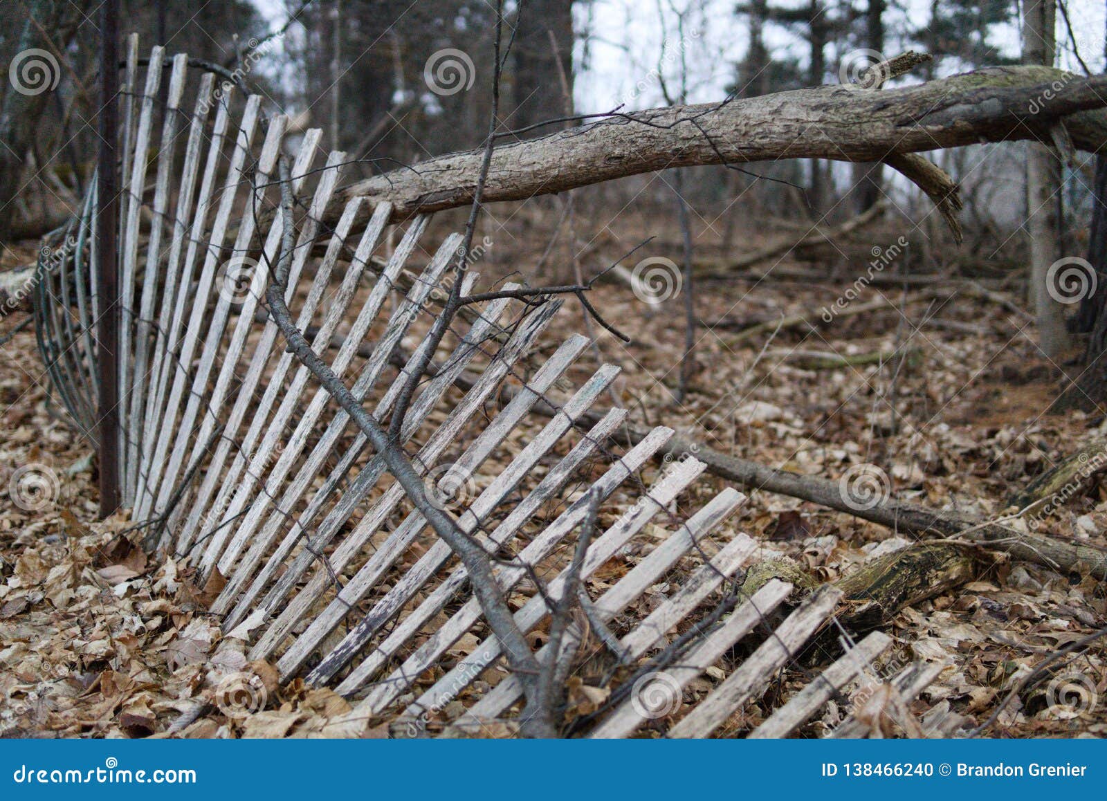 Forest Fence Leaning and Falling Stock Photo - Image of lounge ...