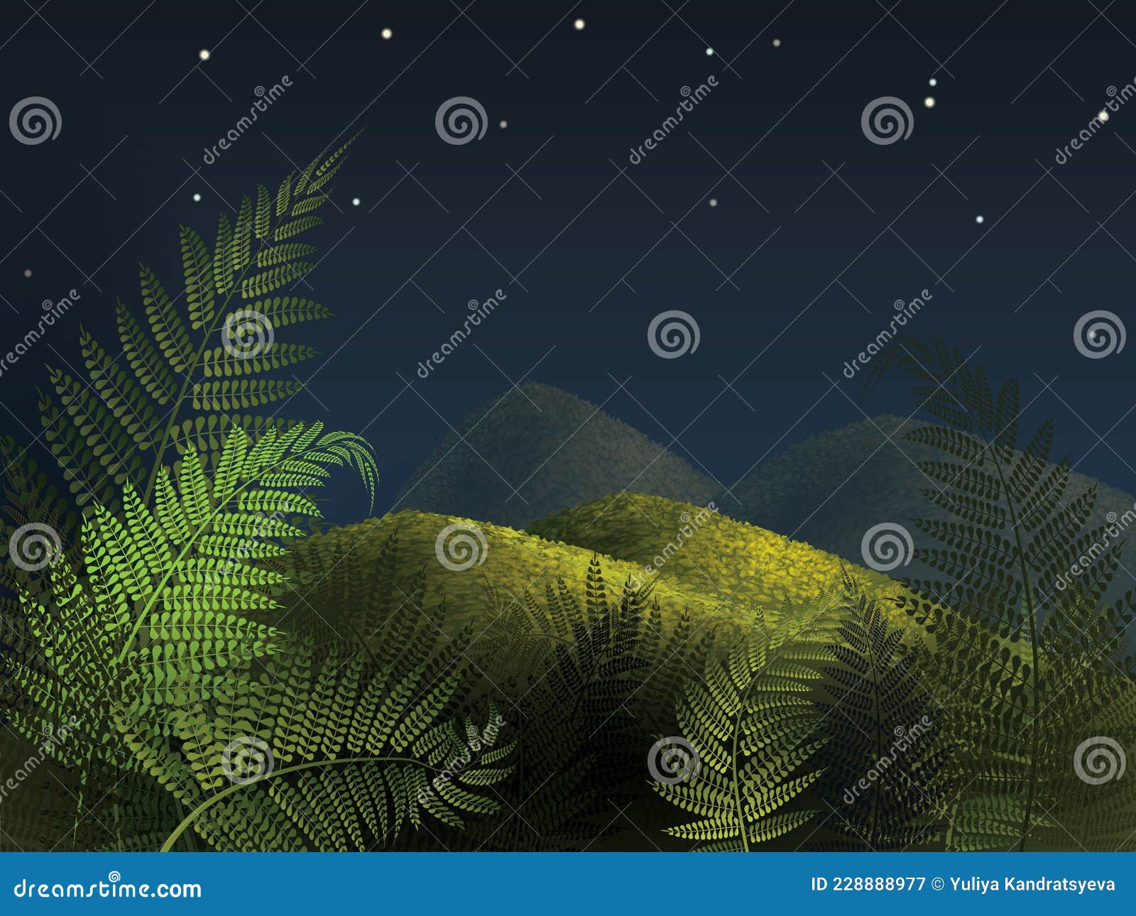 Forest Fern with Night Summer Landscape. Night before Midsummer ...