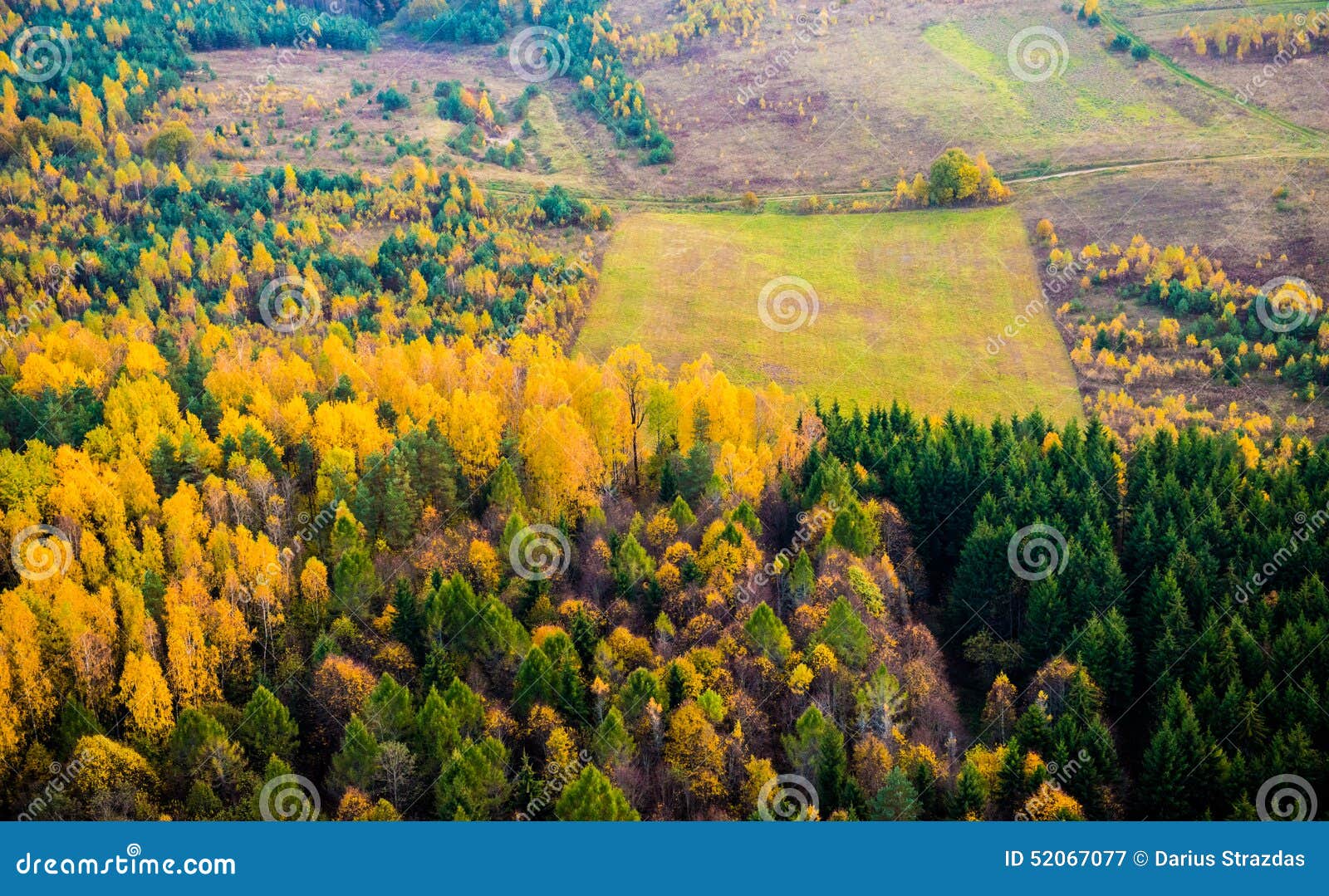 Forest and Field from Above Stock Image - Image of flight, orange: 52067077