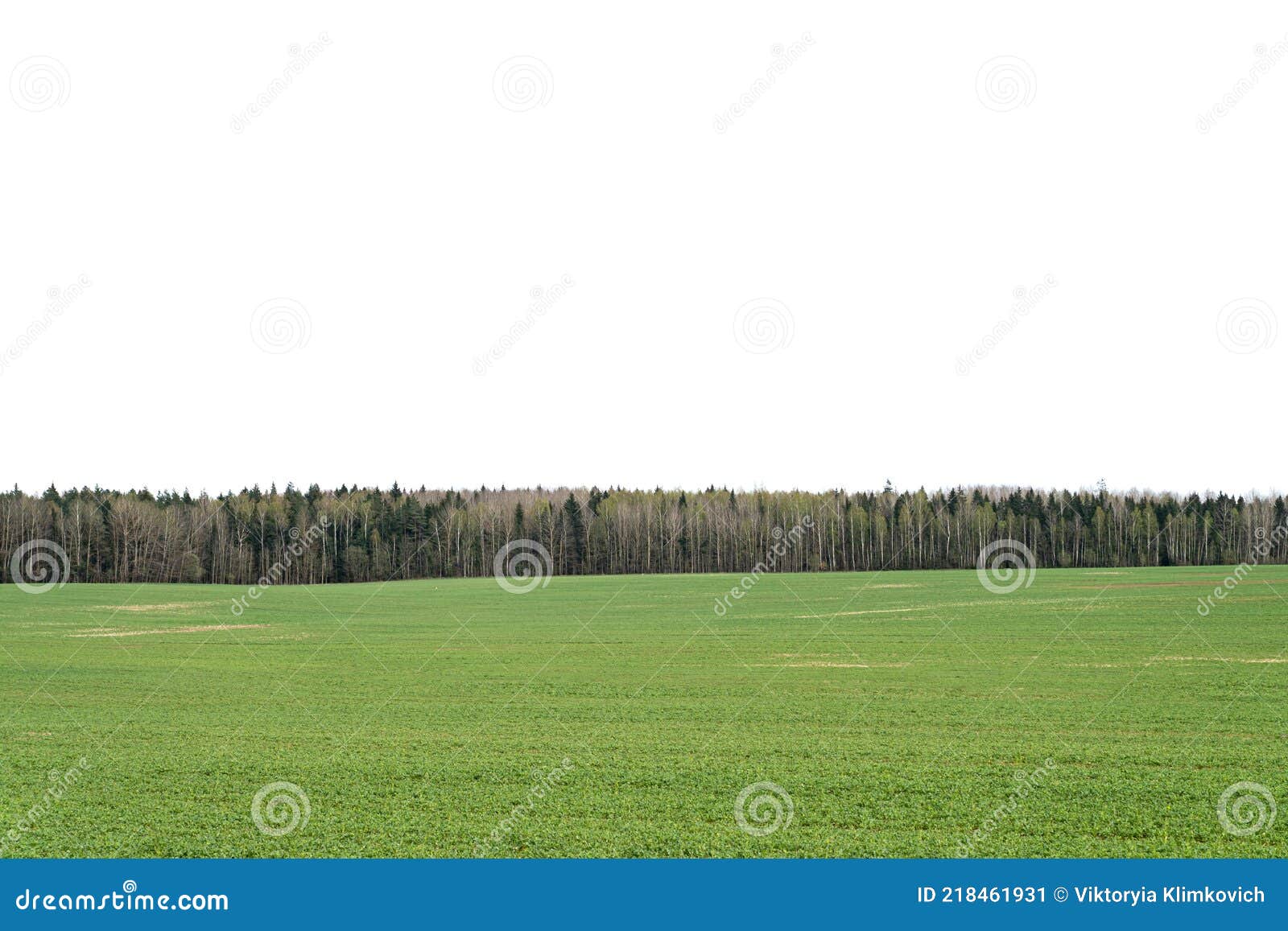 Forest and the Field on the Horizon in Summer Stock Image - Image of ...