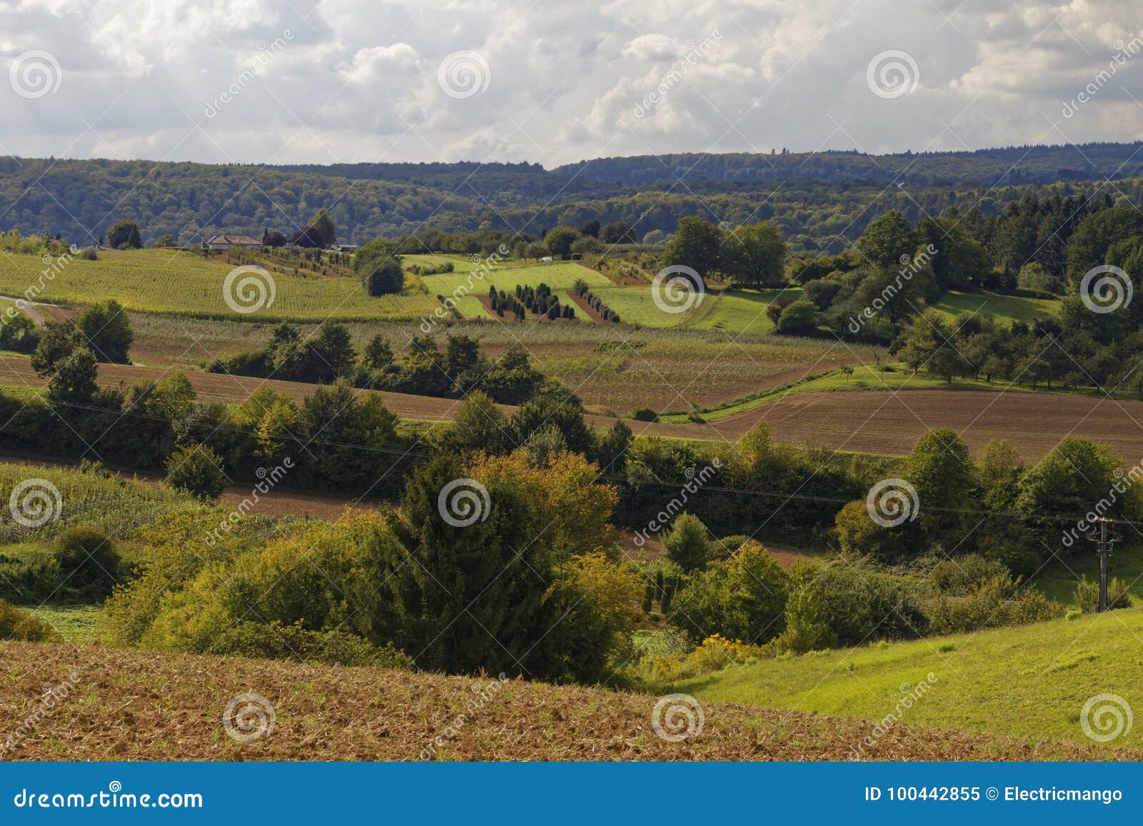 German countryside stock image. Image of german, meadows - 100442855