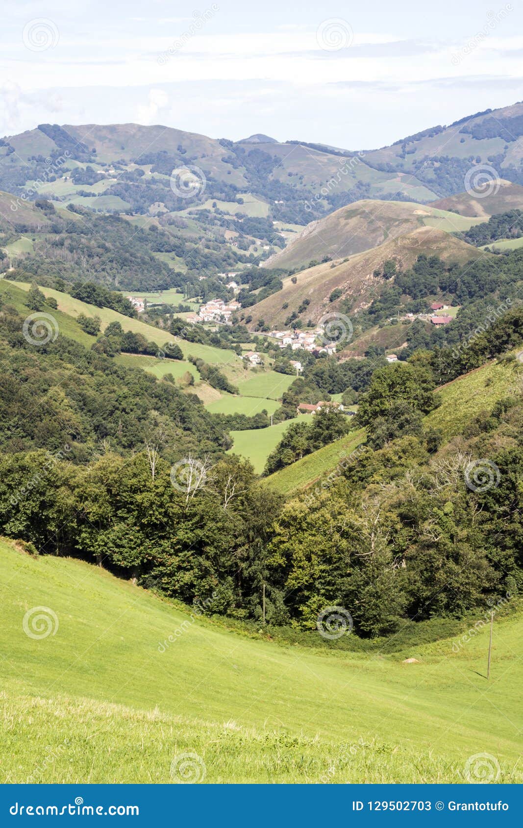 Forest with fields stock image. Image of lleida, france - 129502703