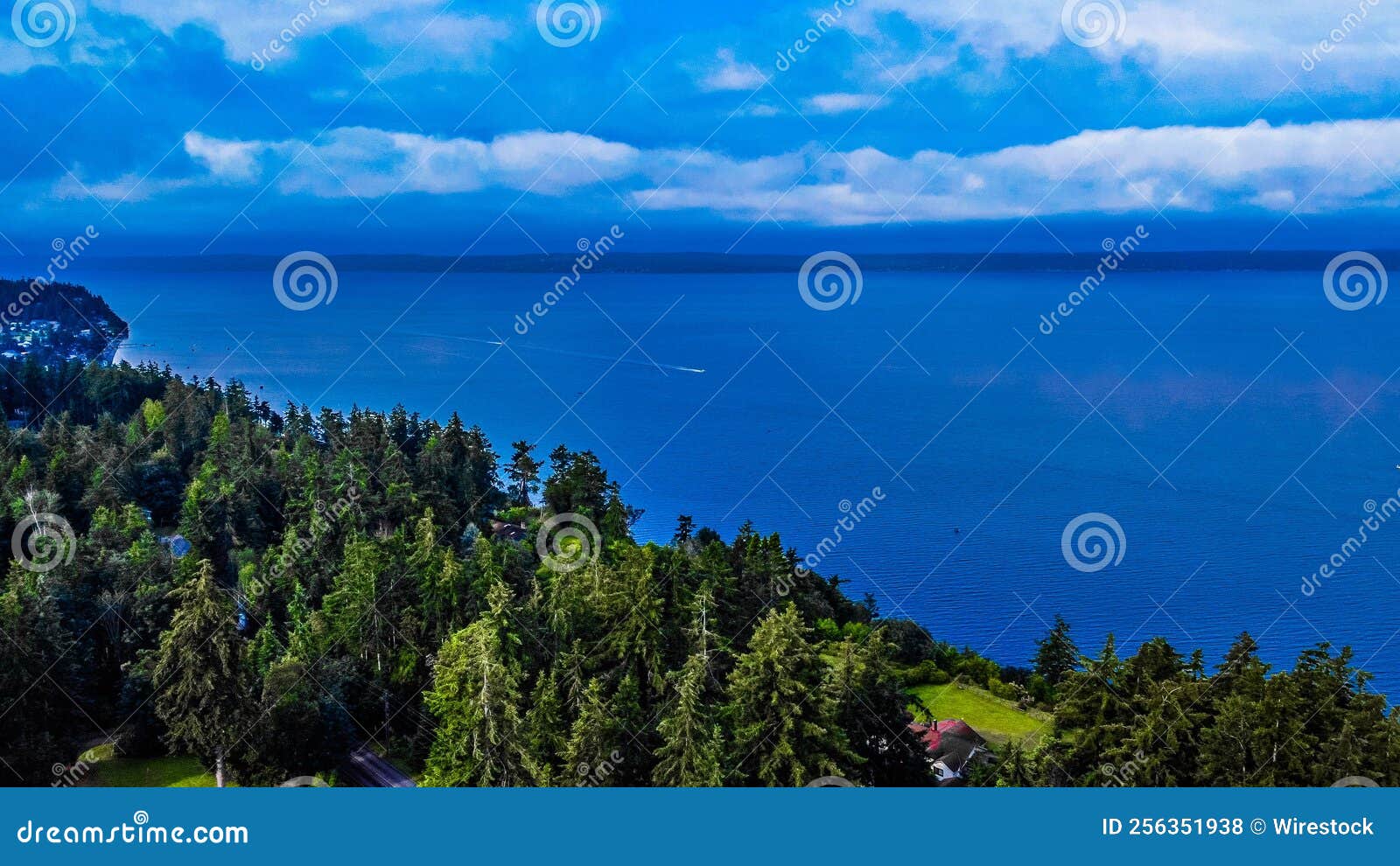 Forest with Fir Trees and a Lake on the Side Stock Photo - Image of ...