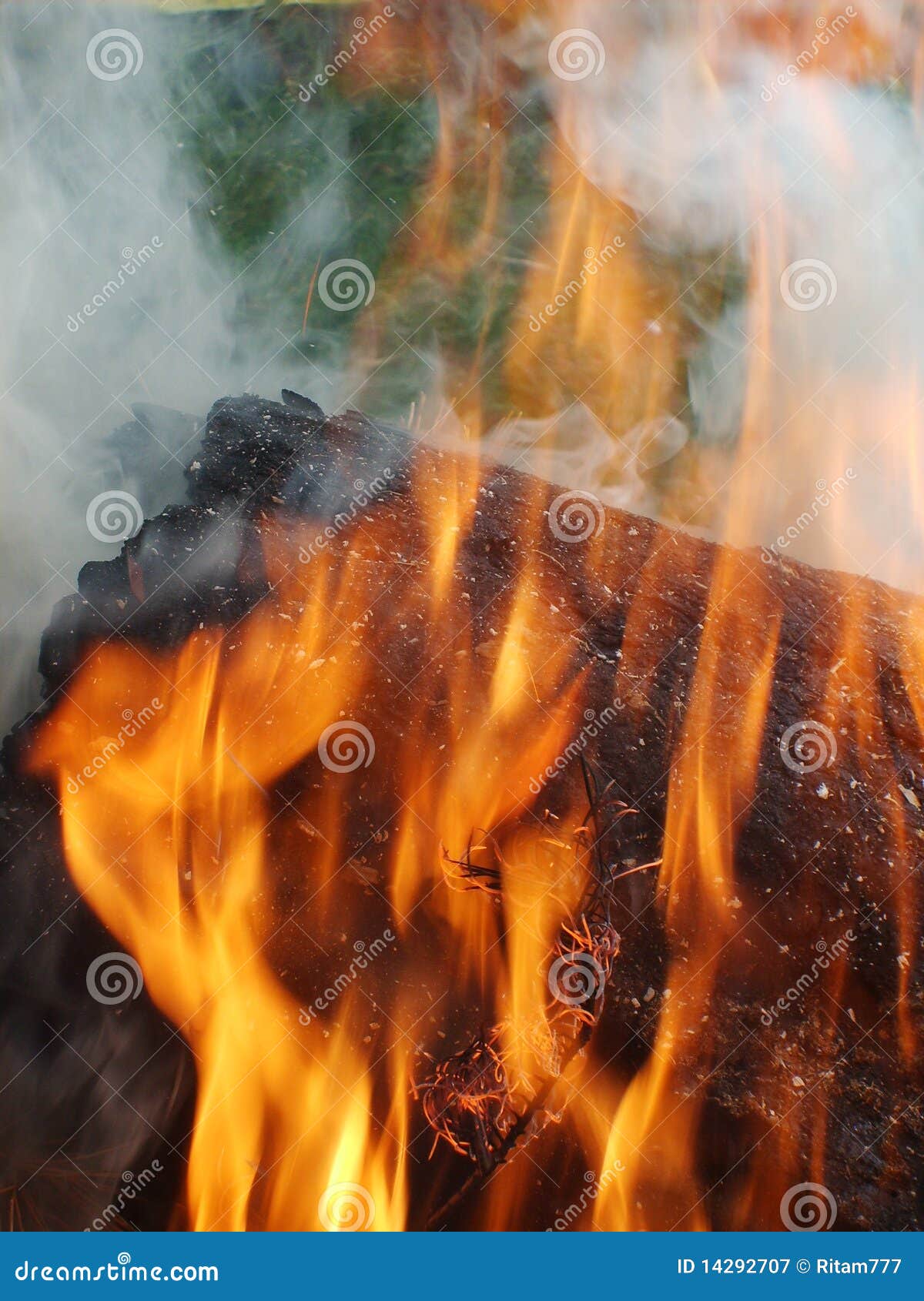 Forest Fire 01 stock image. Image of energy, colors, fire - 14292707