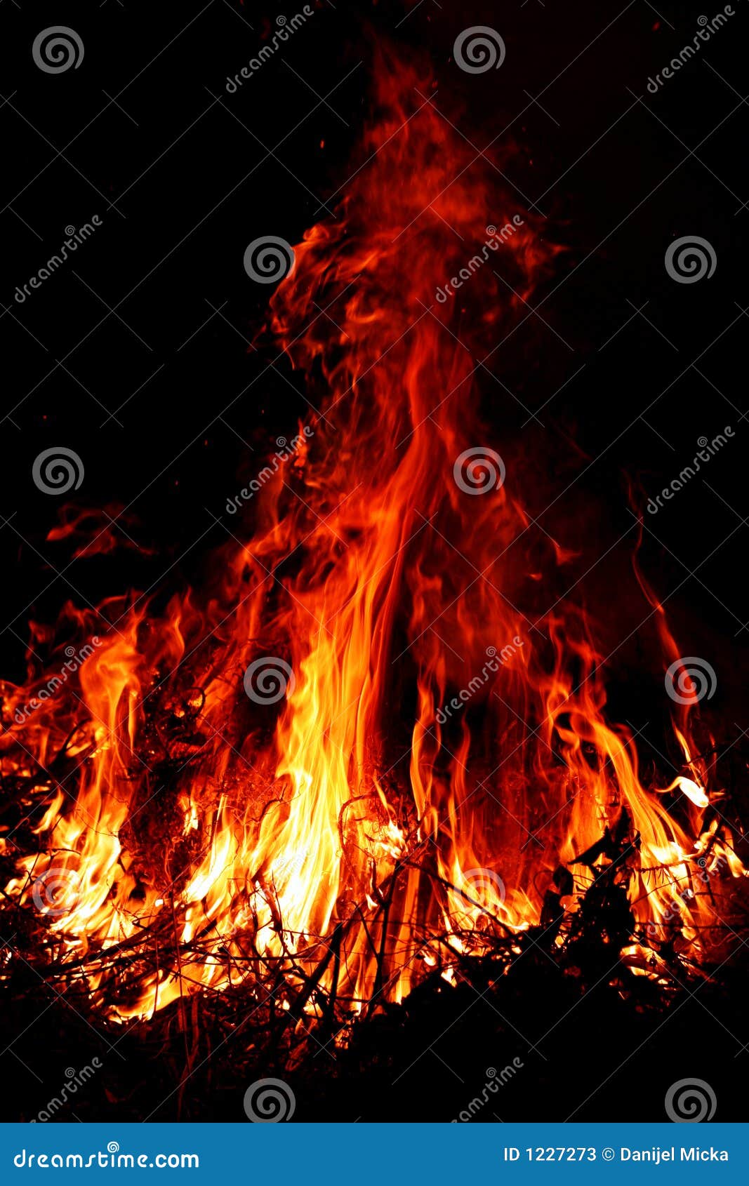 Forest fire stock image. Image of inferno, hell, bonfire - 1227273