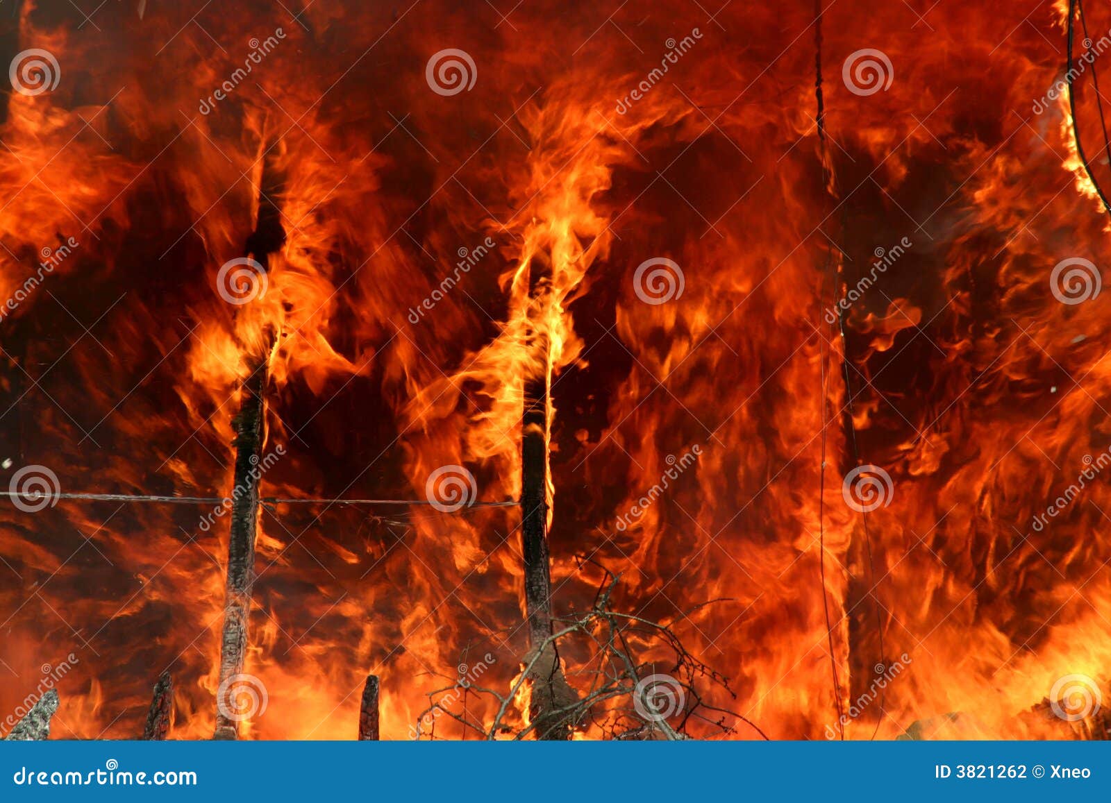 Forest Fire stock photo. Image of firefighter, blazing - 3821262