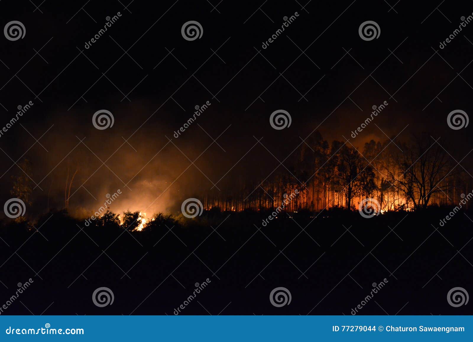 Forest Fire foto de archivo. Imagen de bombero, fuego - 77279044