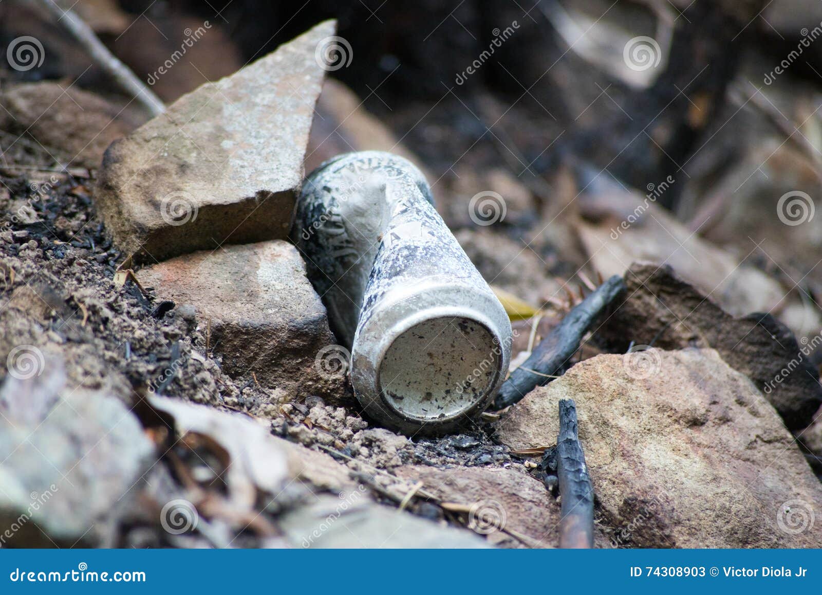 Forest Fire Aftermath stock image. Image of charred, arson - 74308903