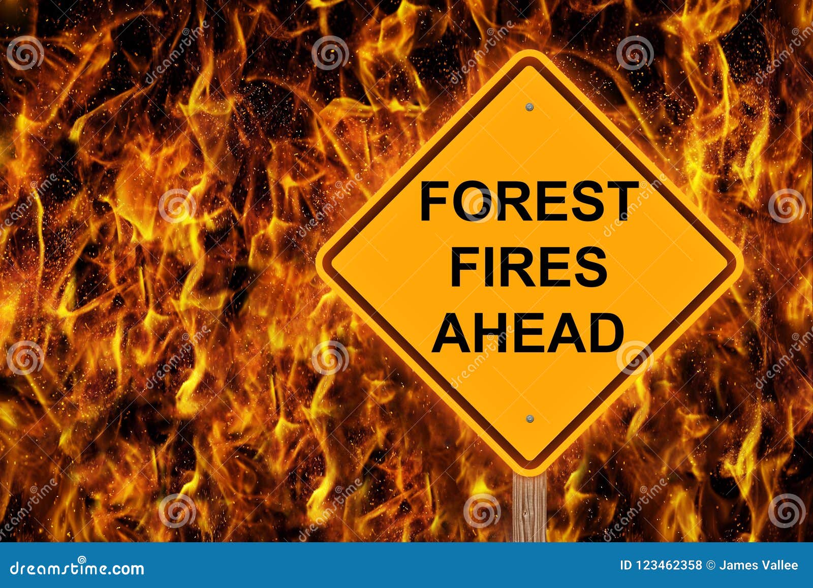 Forest Fire Ahead Caution Sign Foto de archivo - Imagen de adelantar ...
