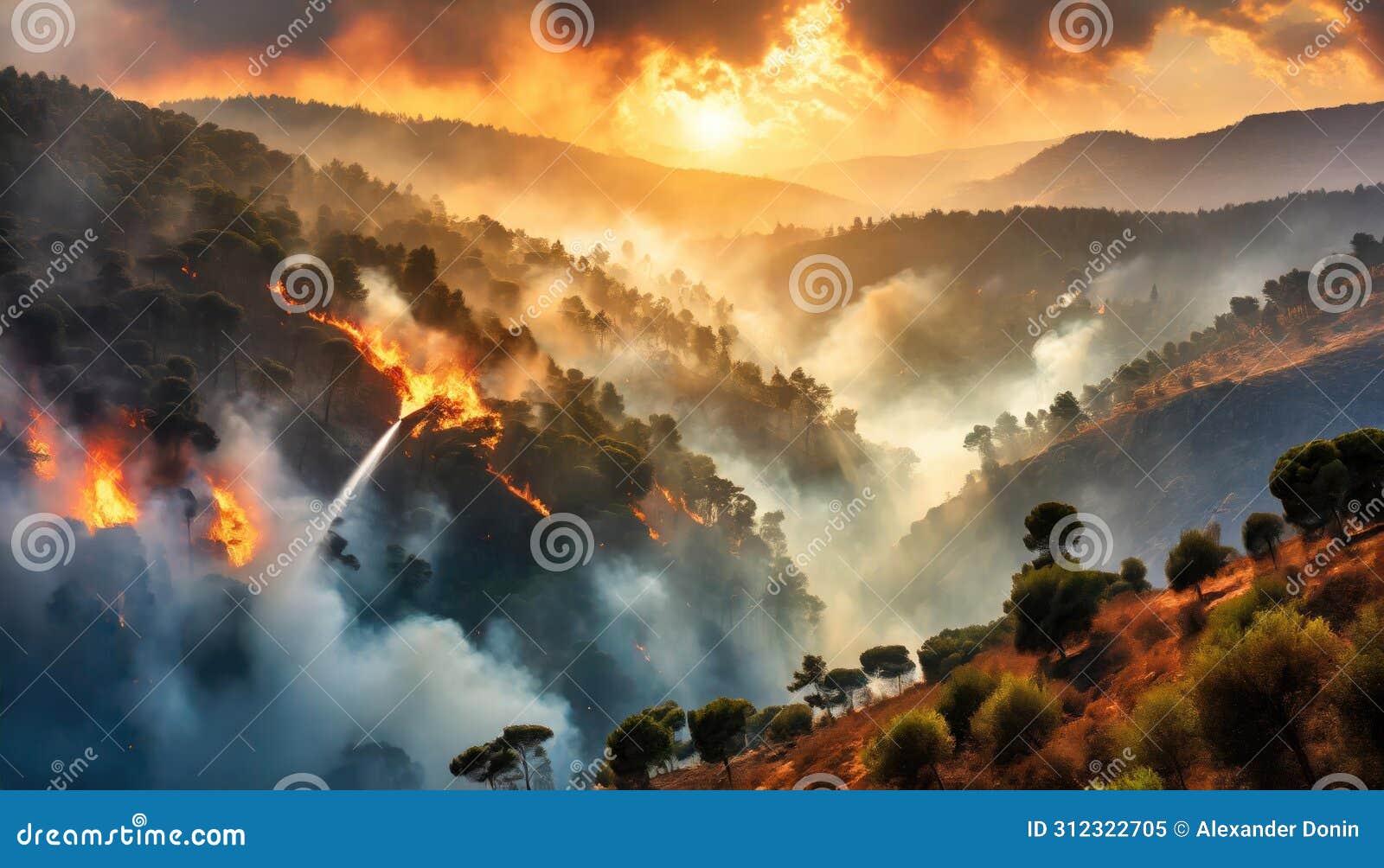 A Forest Fire is Being Extinguished by Spraying Water from a Hose Stock ...