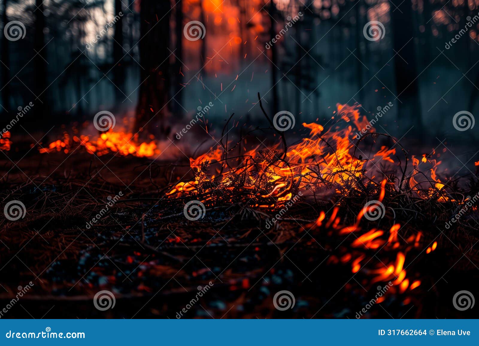 Forest in Fire with Big Flames in the Darkness. Stock Illustration ...