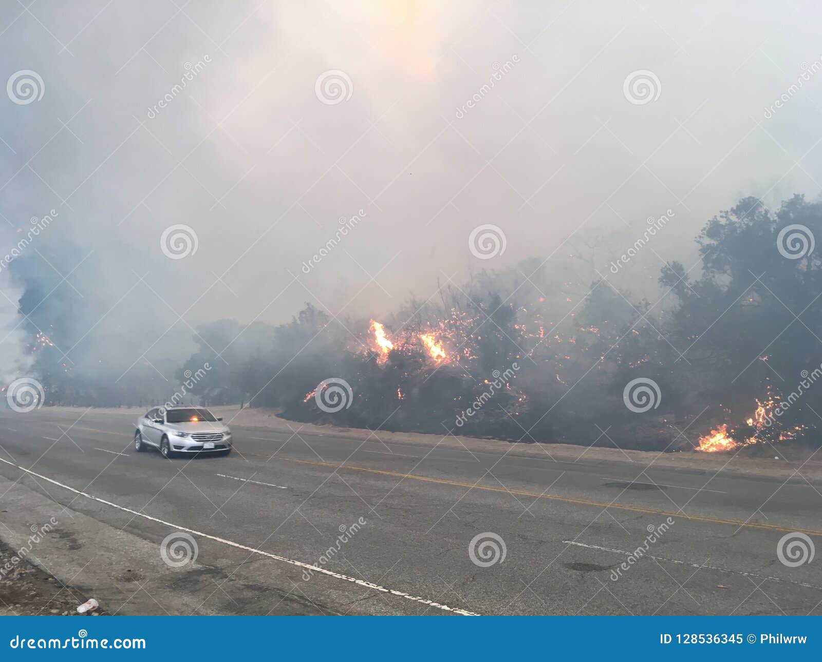 Forest Fire with Big Flames and Car Editorial Image - Image of lots ...