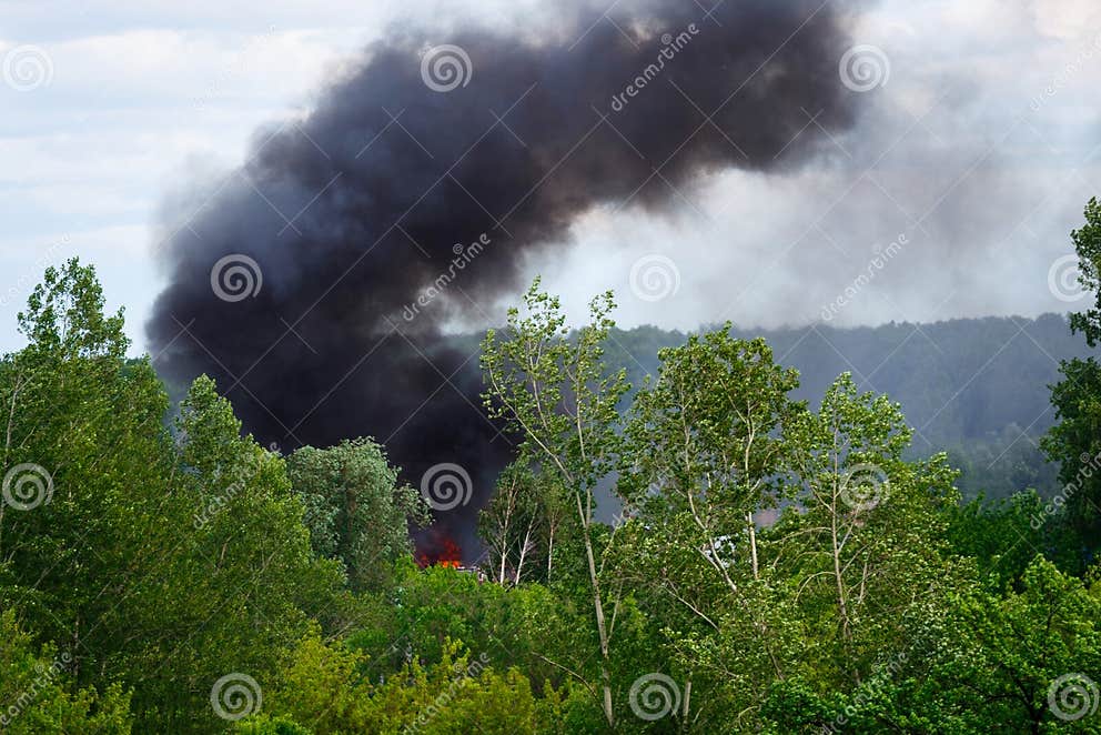 Forest Fire with Black Smoke Stock Image - Image of smoke, landscape ...