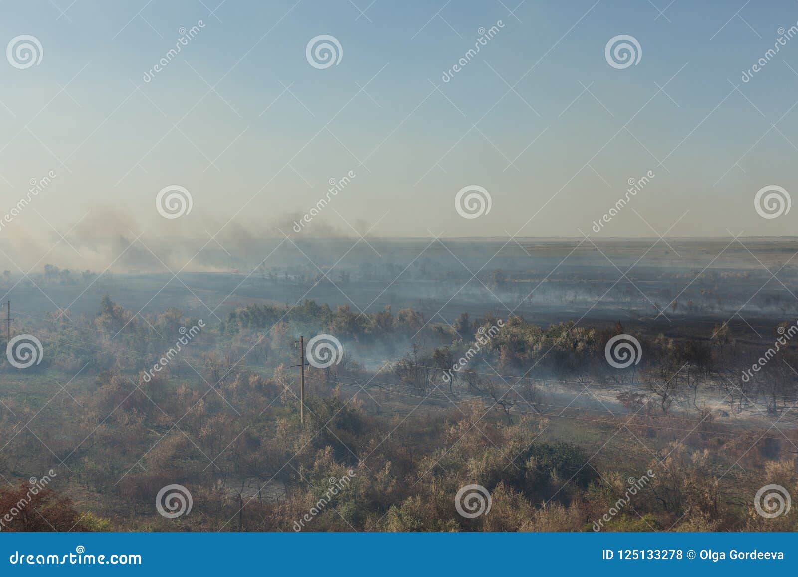 Forest Fire. Burned Trees after Wildfire, Pollution Editorial Stock ...