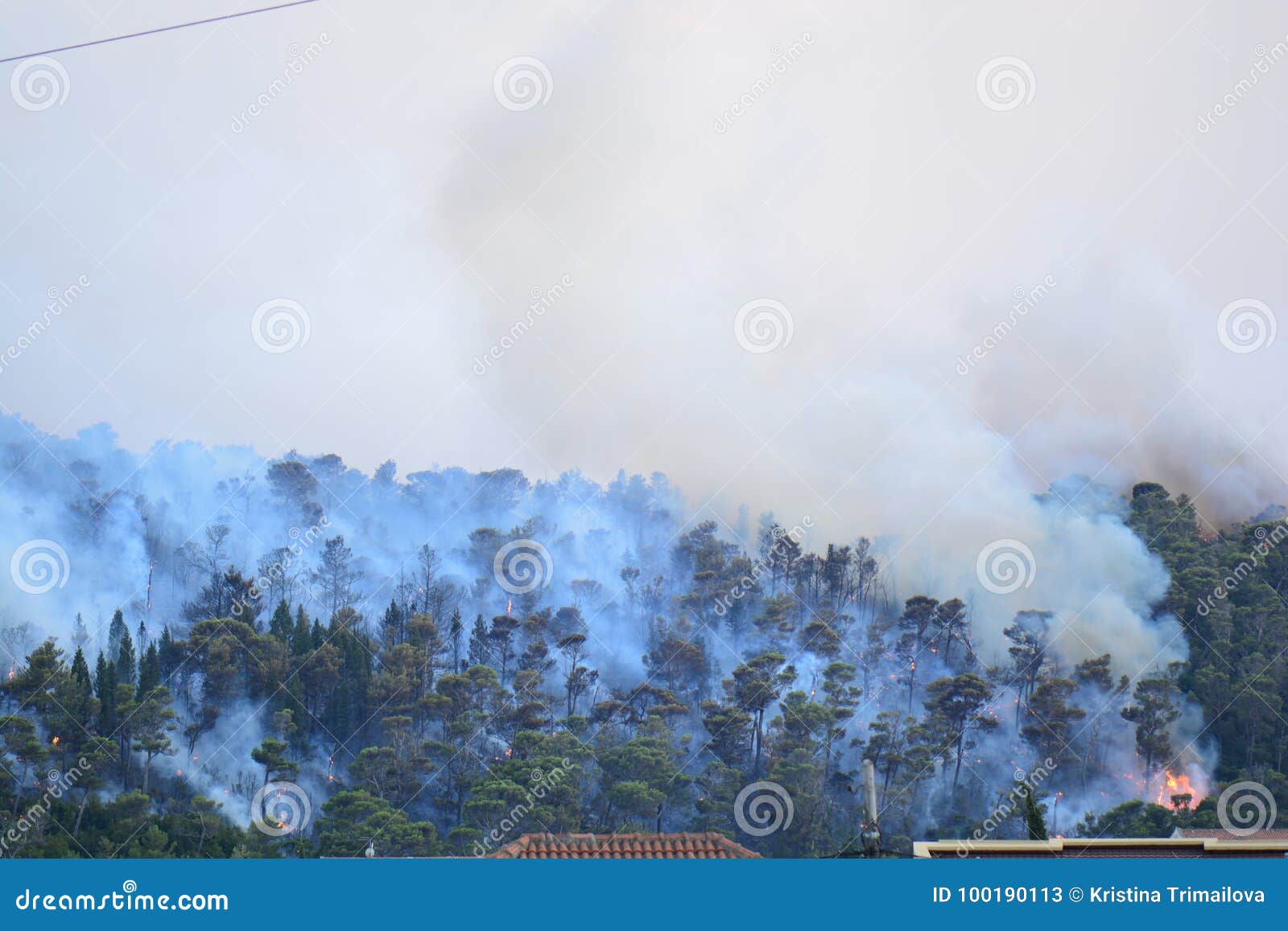 Forest Fire. Burned Trees after Wildfire, Pollution and a Lot of Smoke ...