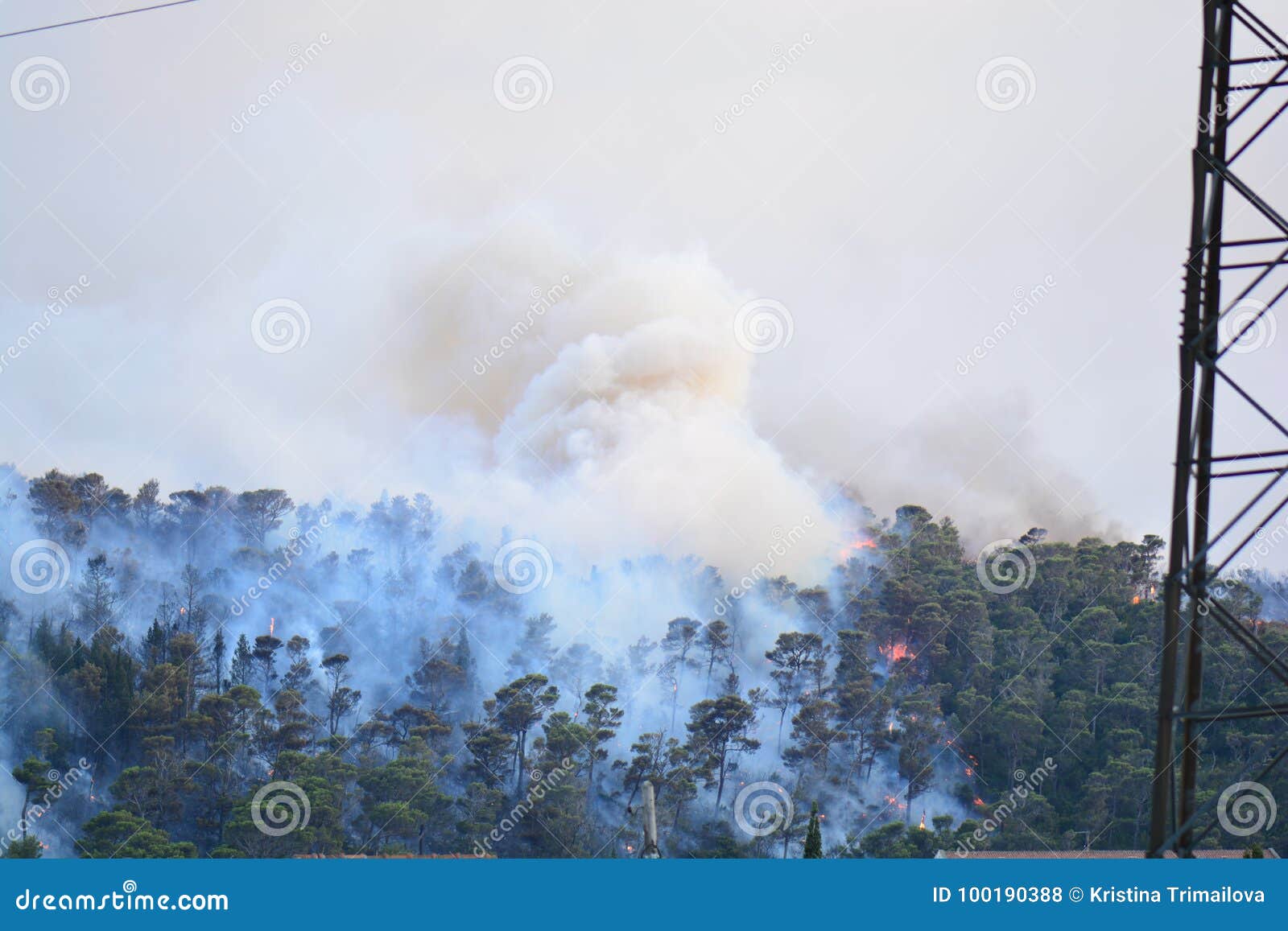Forest Fire. Burned Trees after Wildfire, Pollution and a Lot of Smoke ...
