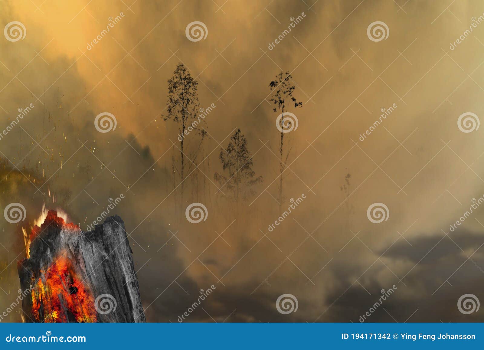 Forest Fire with Burning Black Tree Stump Stock Photo - Image of orange ...