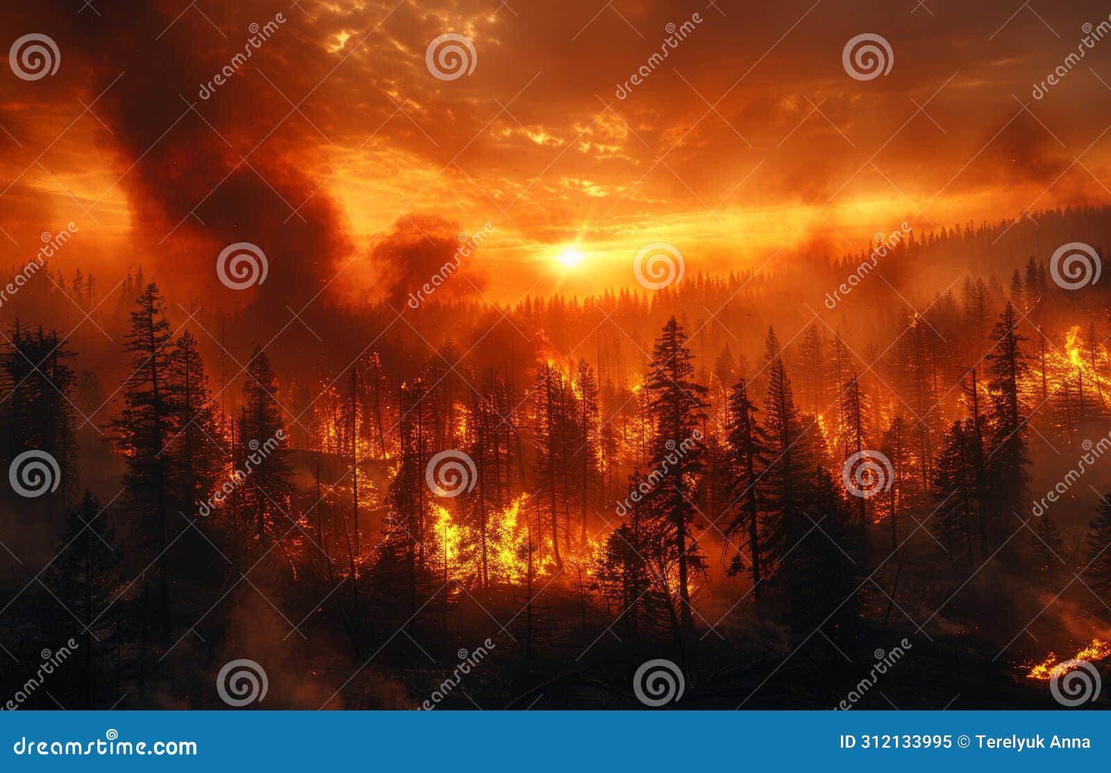 Forest Fire Burning Trees Burning Down Forest Stock Image - Image of ...