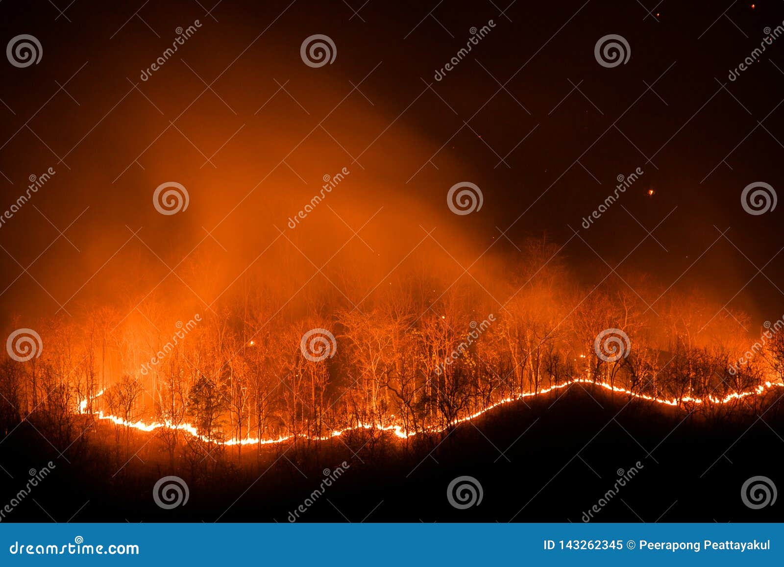 Forest Fire Burning Trees at Night Stock Image - Image of heat, fire ...