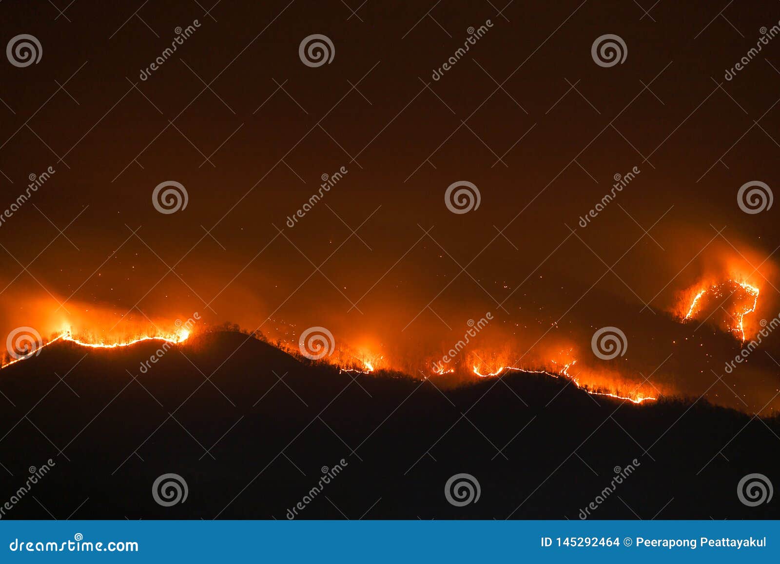 Forest Fire Burning Trees at Night Stock Photo - Image of fire, flow ...