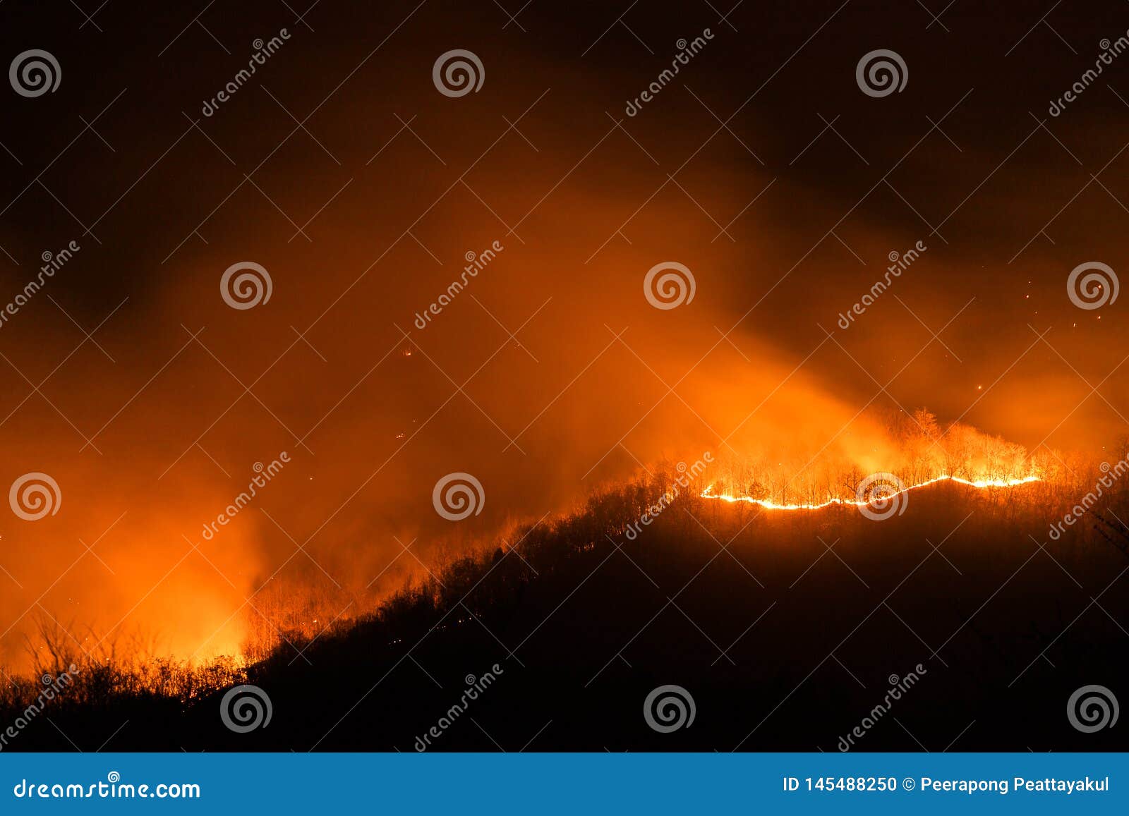 Forest Fire Burning Trees at Night Stock Photo - Image of night, smoke ...