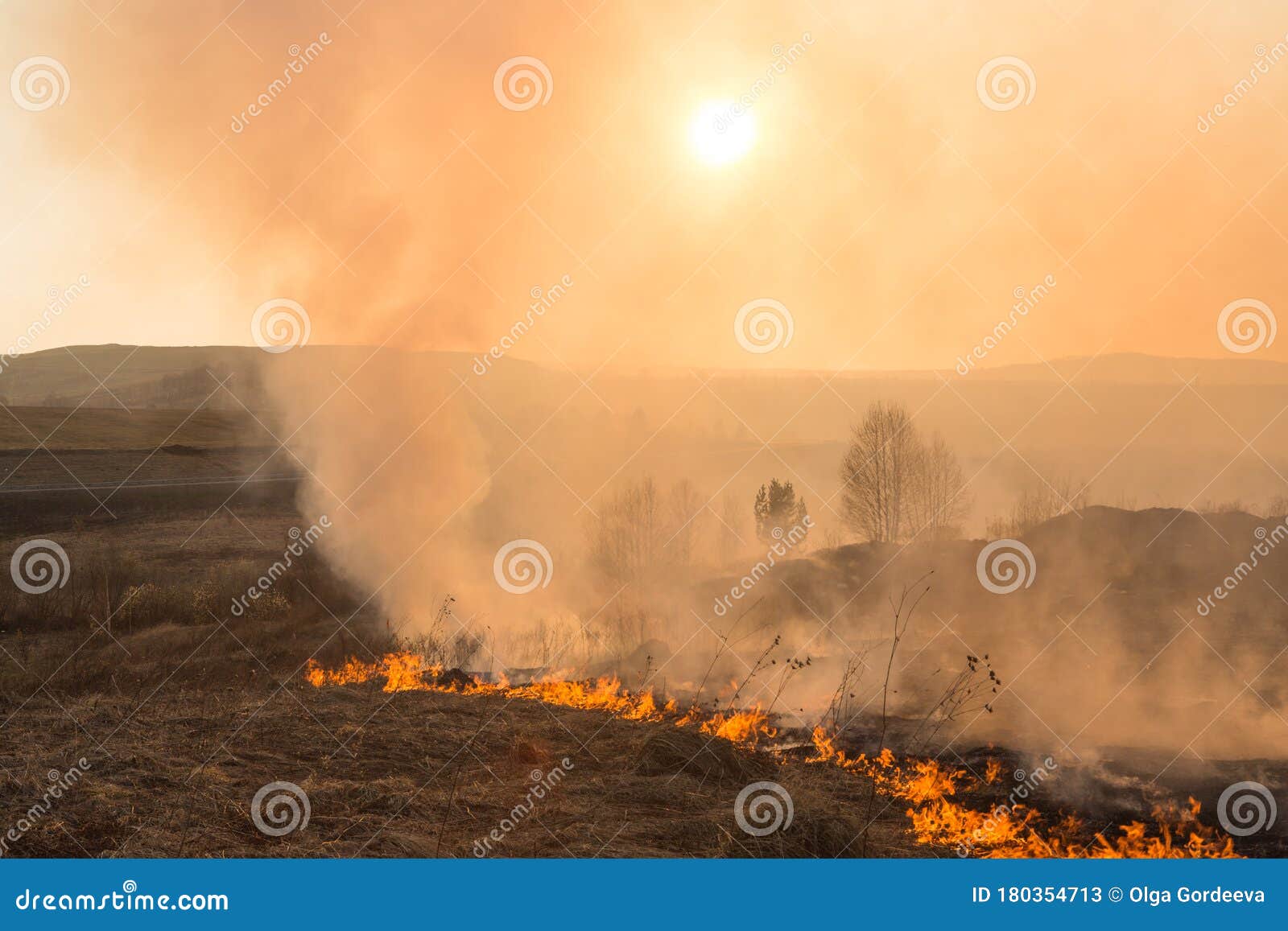 Forest Fire Burning, Wildfire Close Up at Day Time Stock Image - Image ...