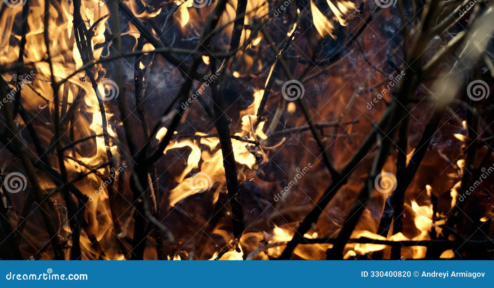 Forest Fire in Close-up. the Branches of Shrubs and Trees are Burning ...