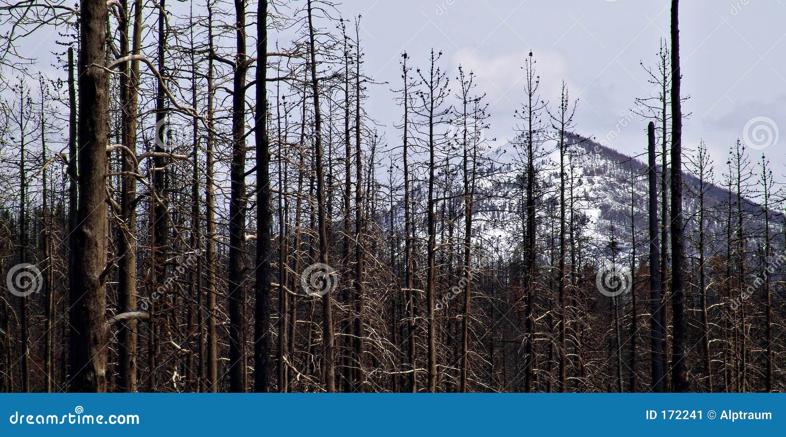 Fire Damage Structure Abandoned Chimney Building Ruins Stock Image ...