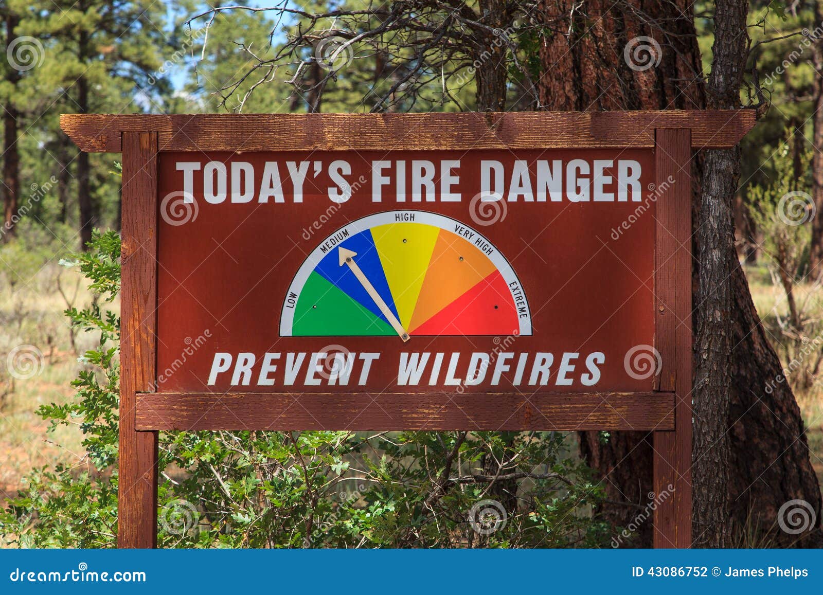 Forest Fire Danger Sign fotografia stock. Immagine di nave - 43086752