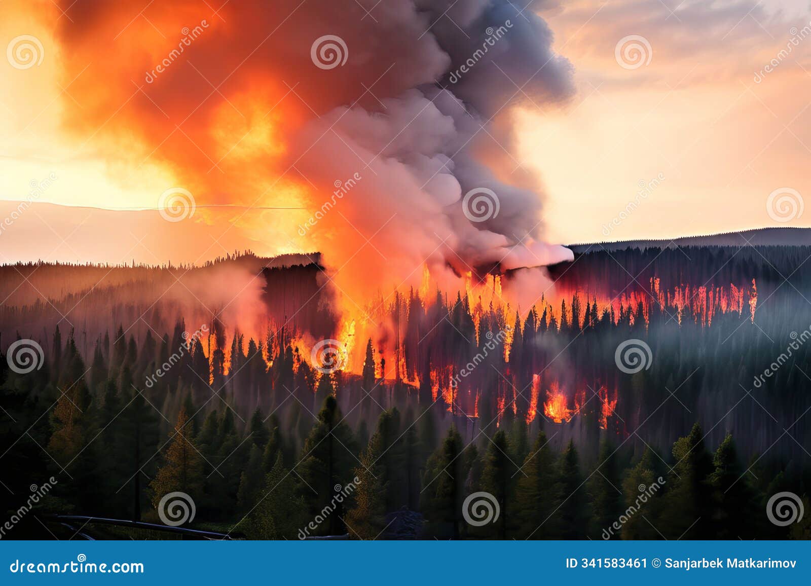Forest Fire Detection Sensors Distributed Sensors that Detect Ea Stock ...
