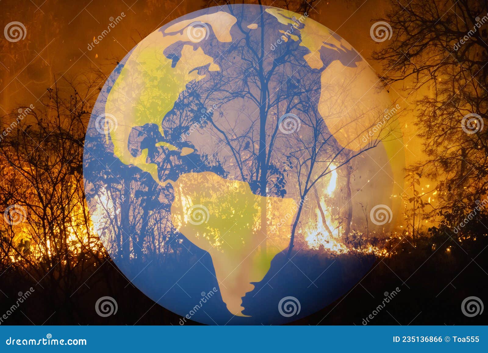 Forest Fire Disaster Burning Caused by Human Stock Photo - Image of ...