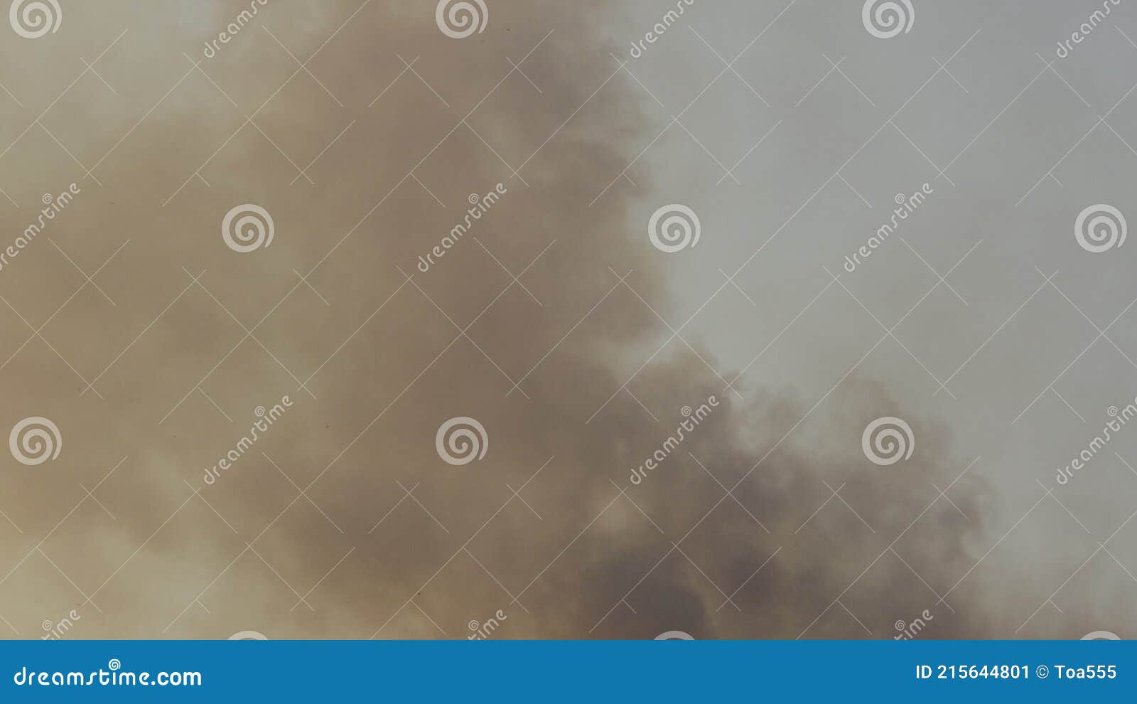 Forest Fire Disaster Burning Caused by Human Stock Video - Video of ...