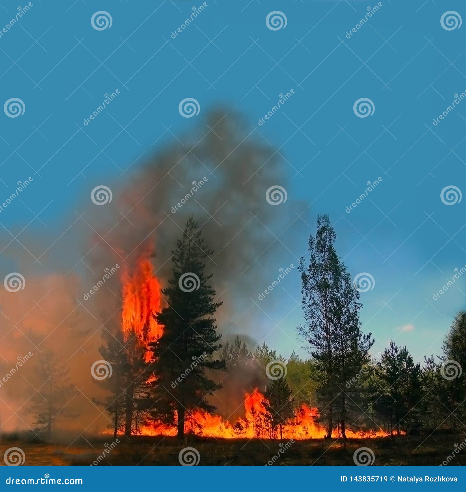 Forest Fire Disaster for Environment Stock Image - Image of destroy ...