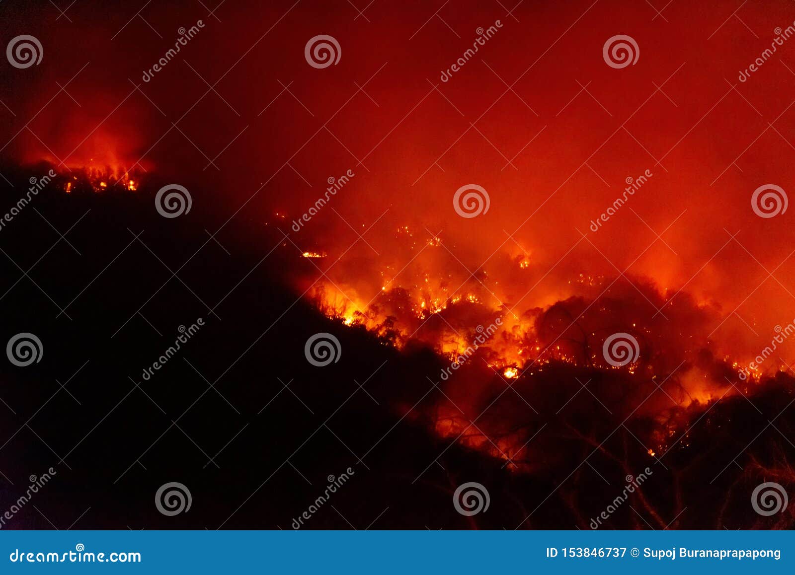 Forest Fire Disater Problem.Fire Burns Trees in the Mountain at Night ...