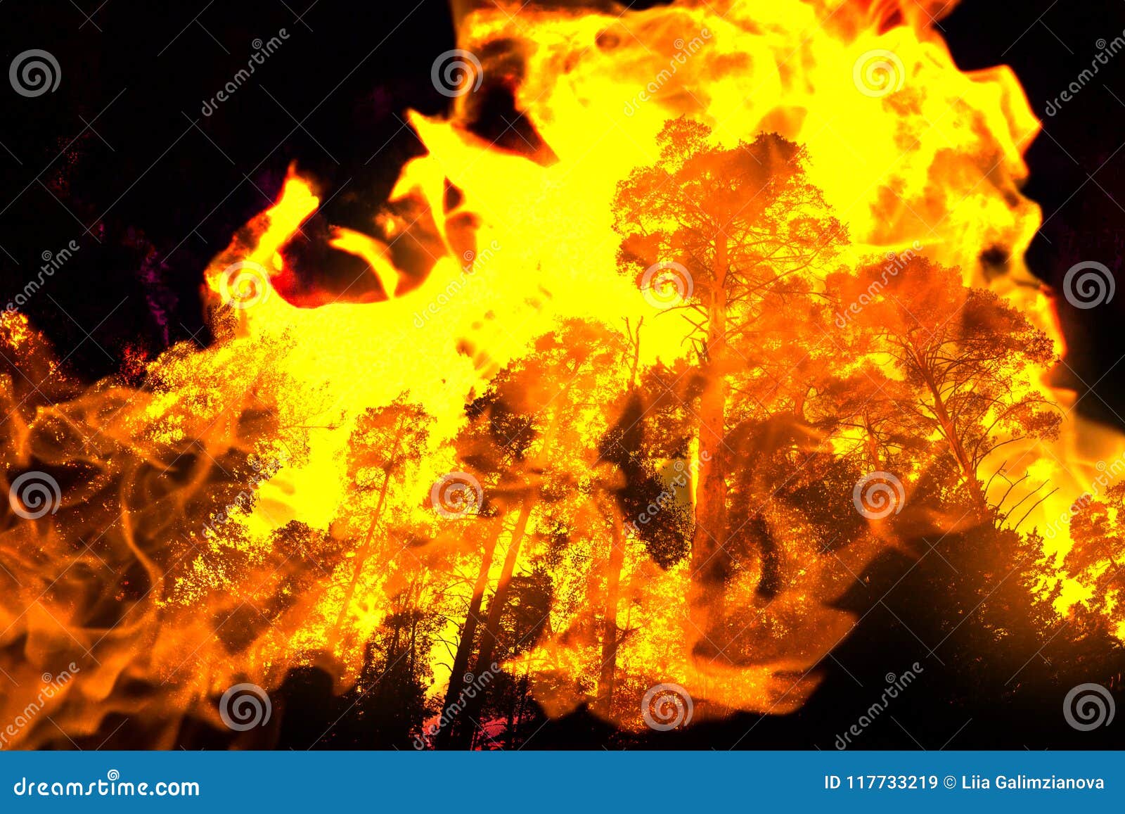 Forest in Fire. Double Exposure Stock Image - Image of flame, damage ...