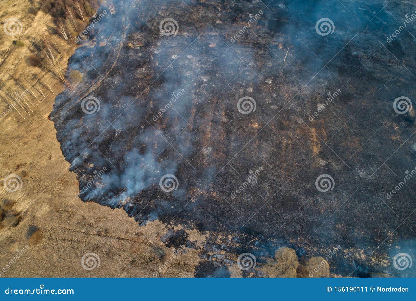 Forest Fire. Dry Grass Burning in the Field, Near the River. Stock ...
