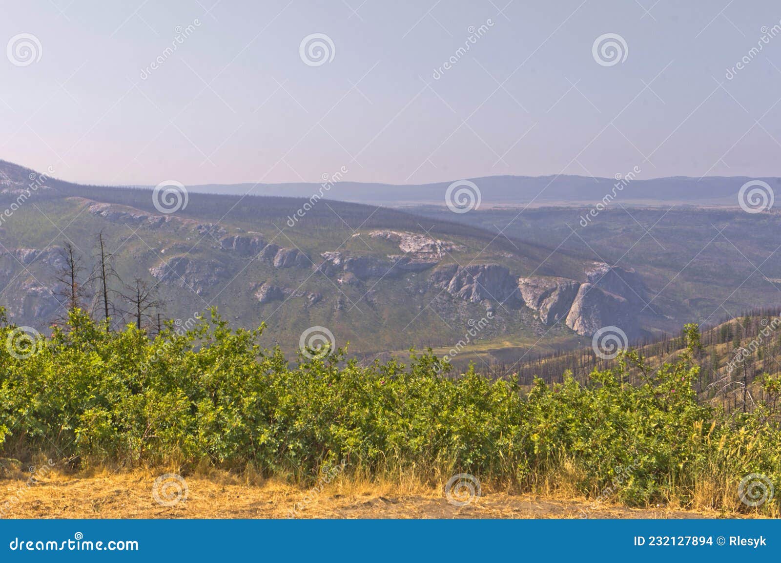 Forest Fire Erosion on Mountain Sides Stock Photo - Image of chilcotin ...