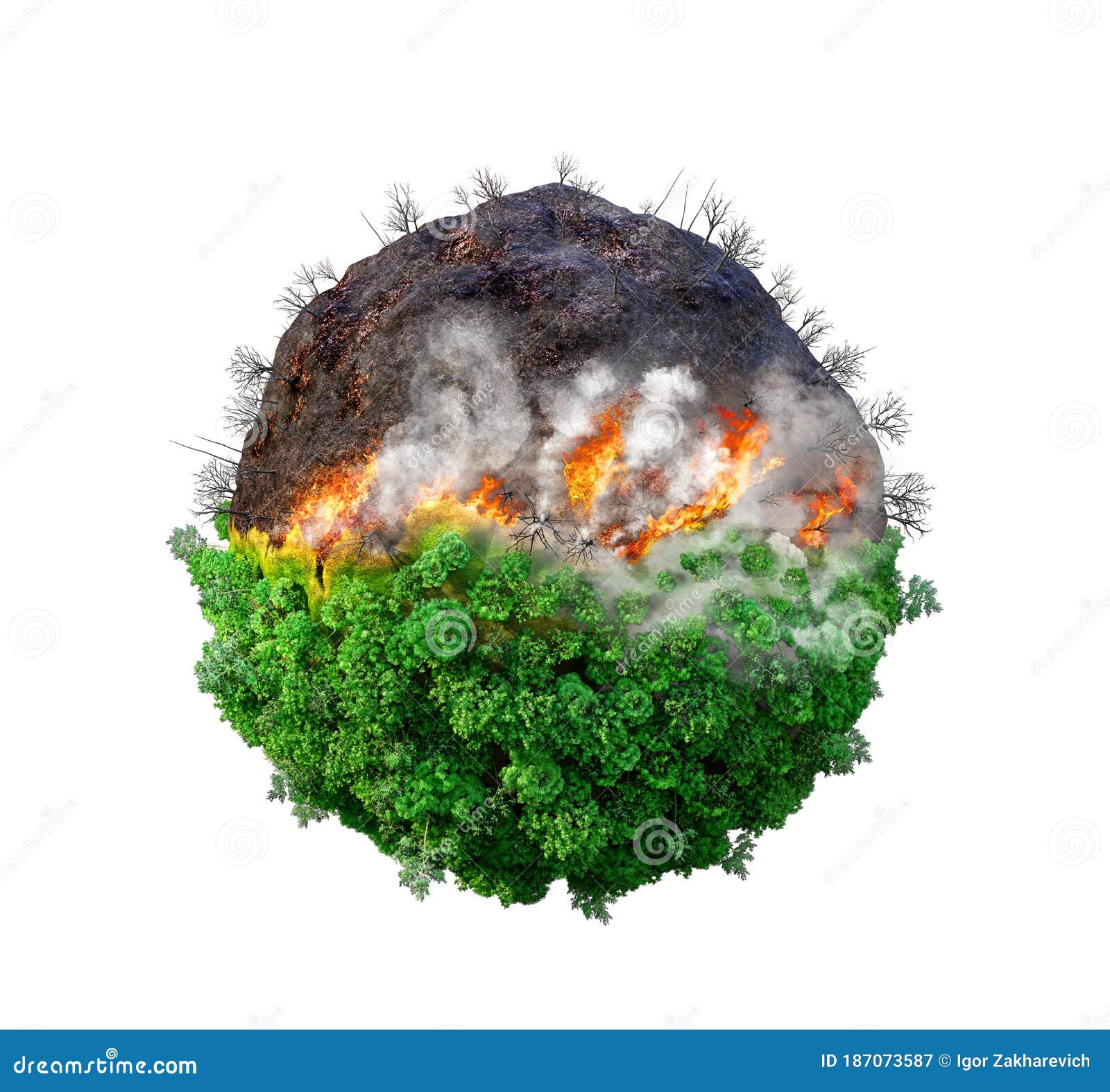 Forest Fire. Half Burned Forest on a Planet Stock Illustration ...