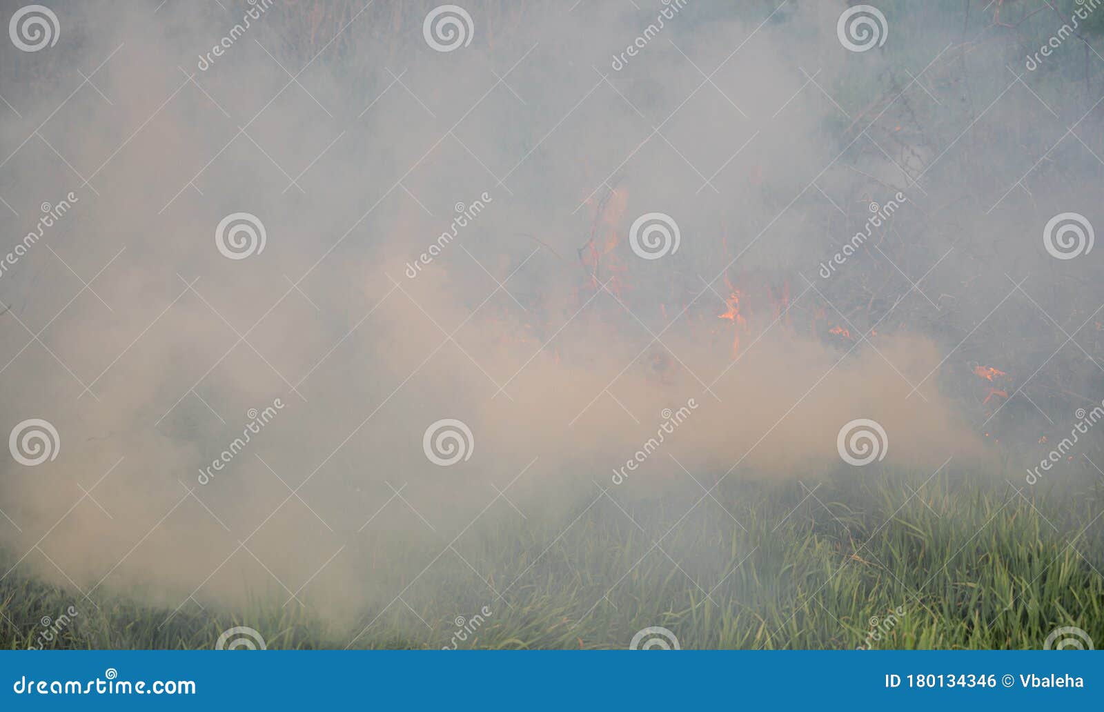 Forest Fire with Heavy Smoke Stock Photo - Image of texture, smoky ...