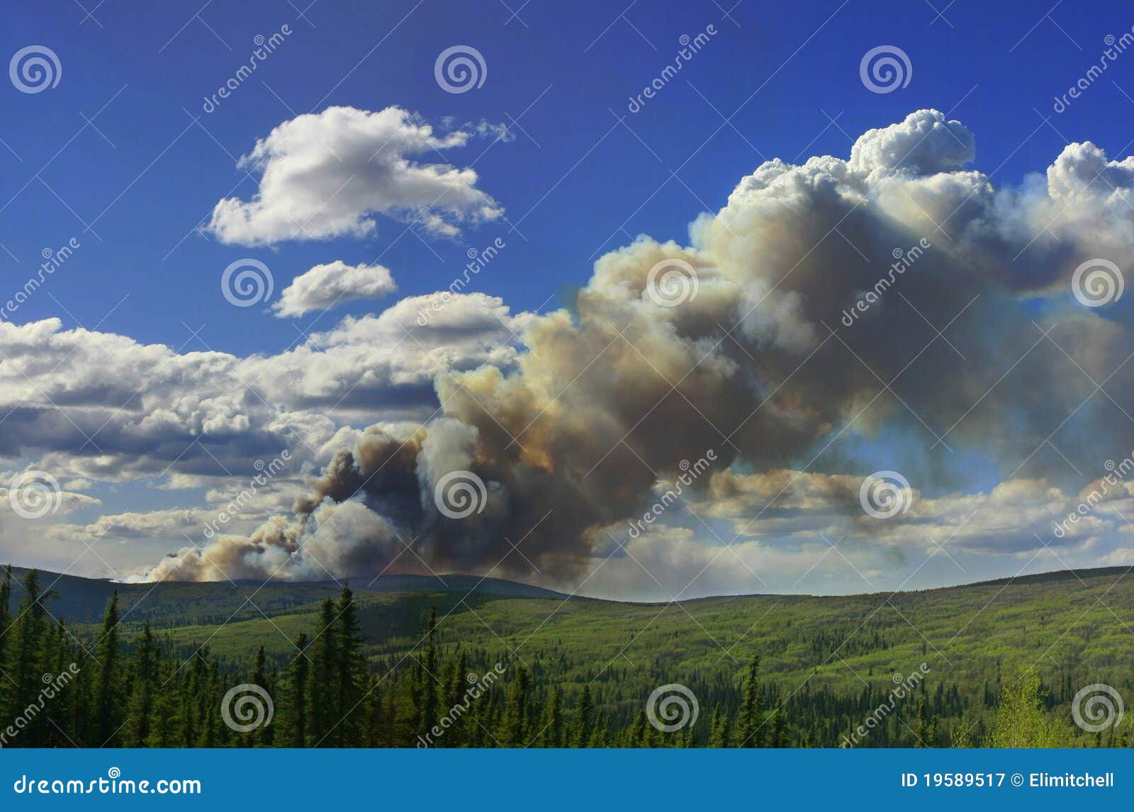 Forest Fire in Hills in Interior Alaska Stock Image - Image of canyon ...