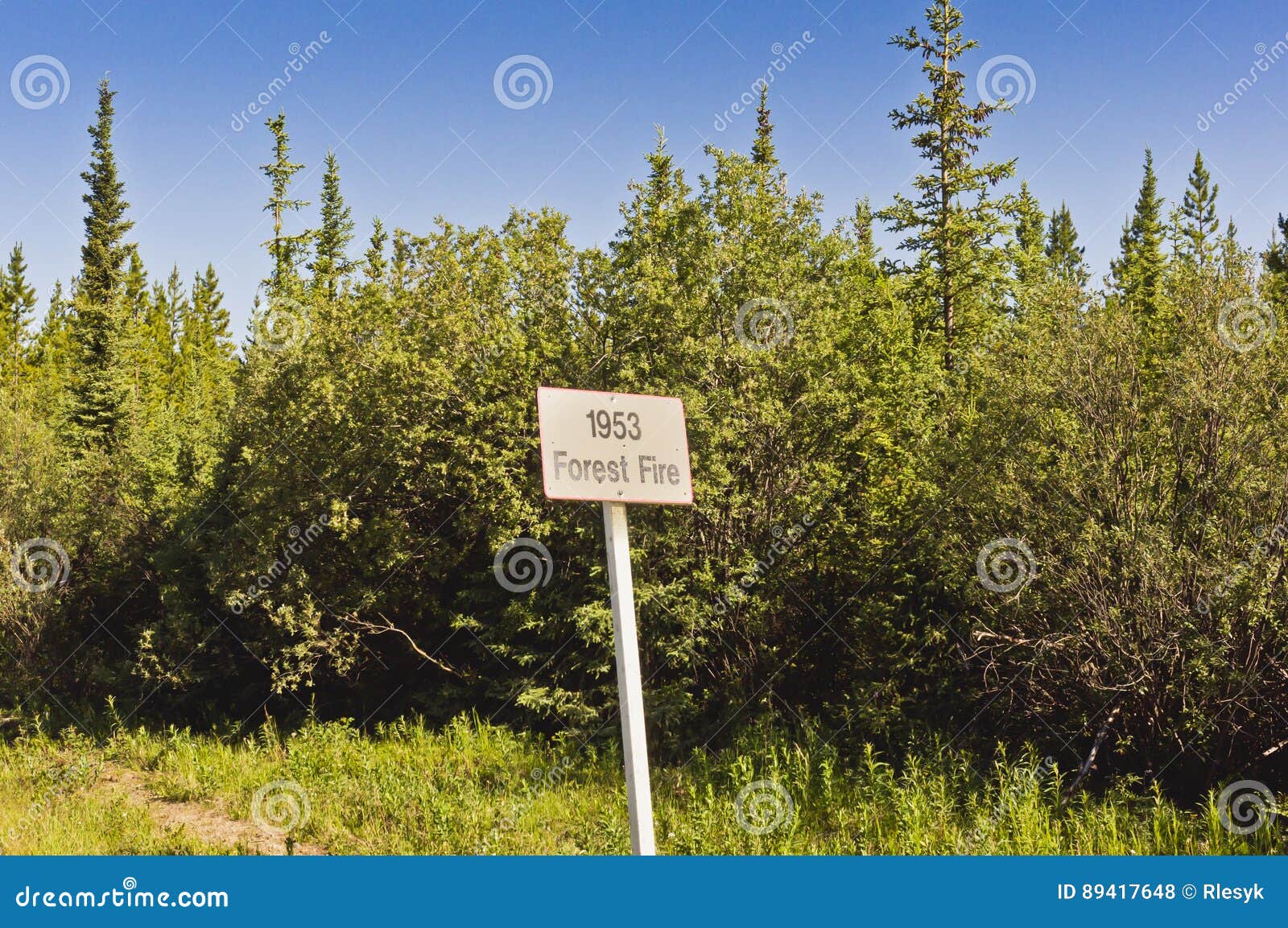 Forest Fire Information Sign Stock Photo - Image of sight, green: 89417648