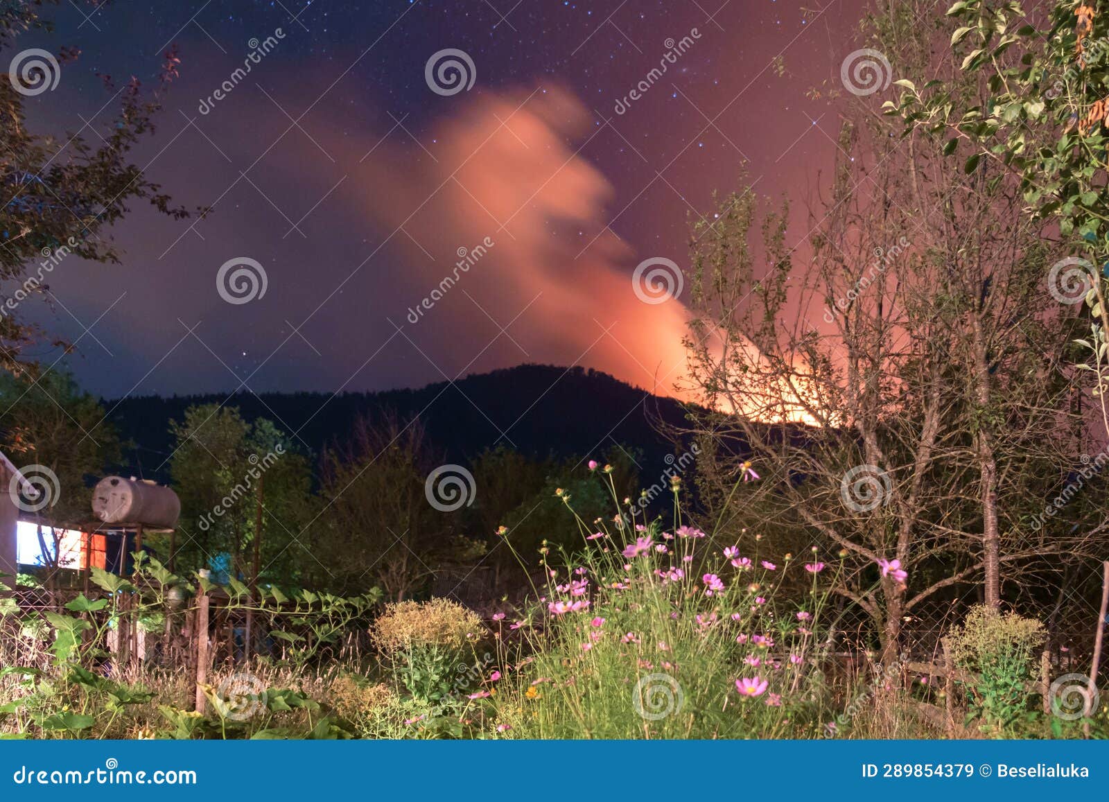 Forest Fire with a Large Cloud of Smoke Stock Image - Image of burn ...