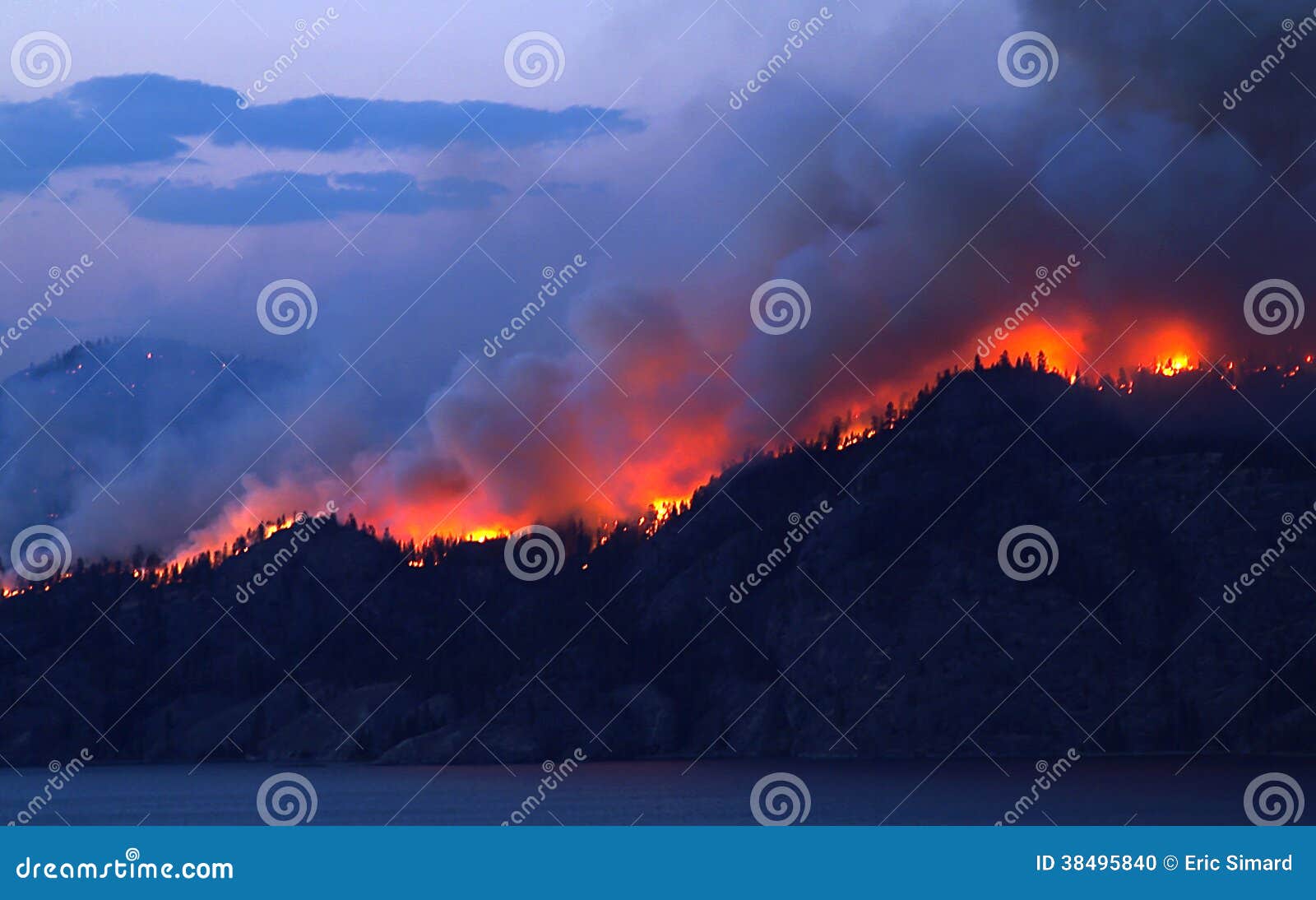 Forest Fire stock photo. Image of horizontal, fire, natural - 38495840