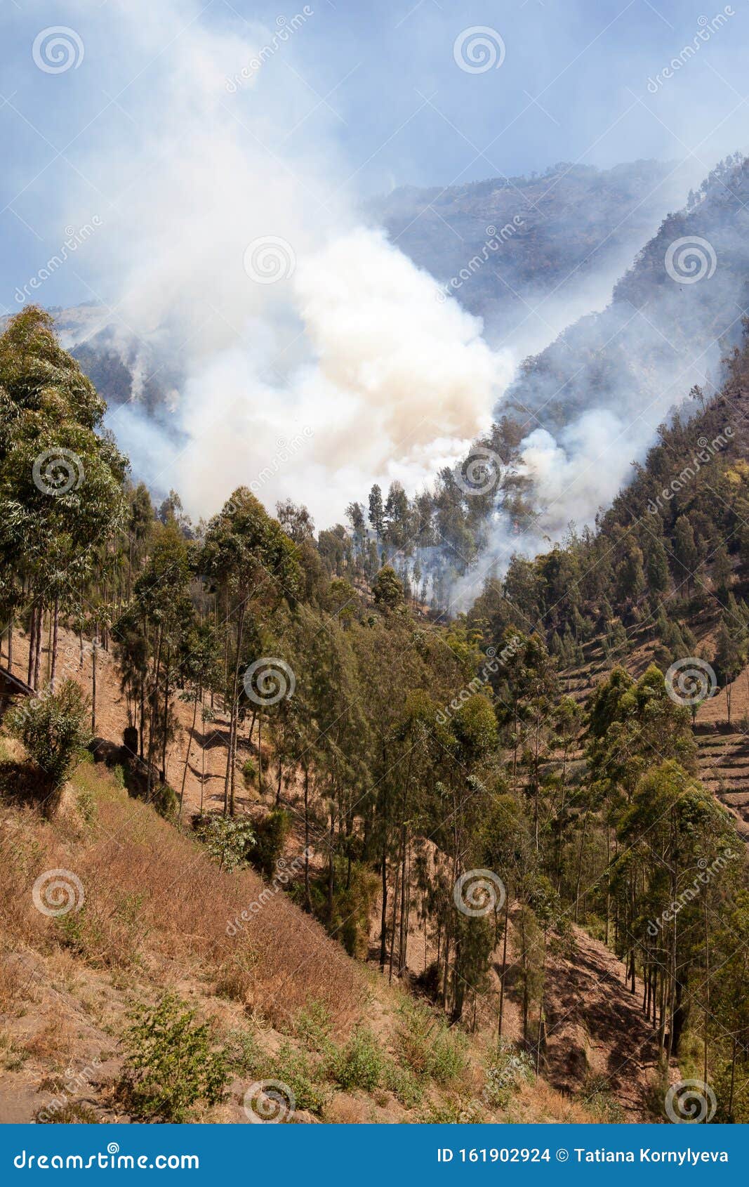 Forest Fire in the Mountains. Java Island, Indonesia Stock Photo ...