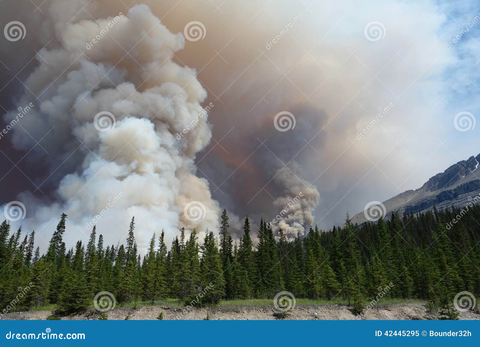 A Forest Fire in a National Park Stock Image - Image of blaze, fire ...
