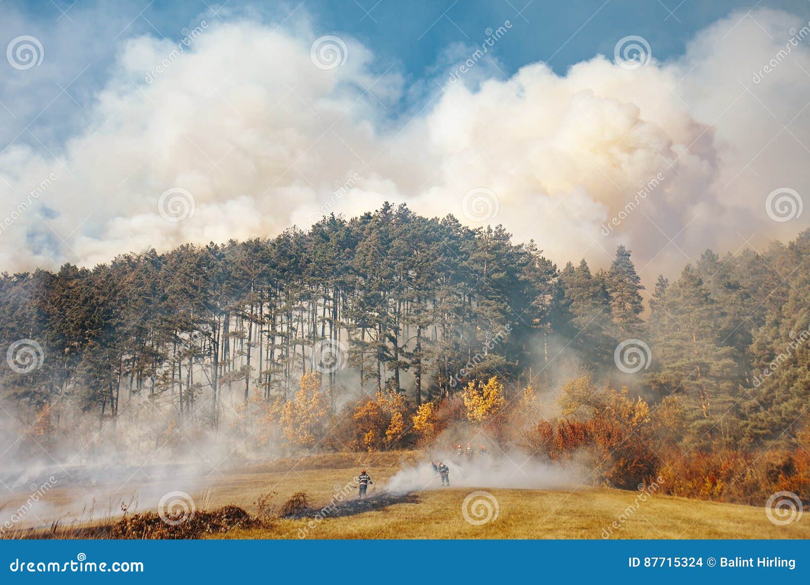 Forest Fire, Nature Disaster Stock Photo - Image of environment ...