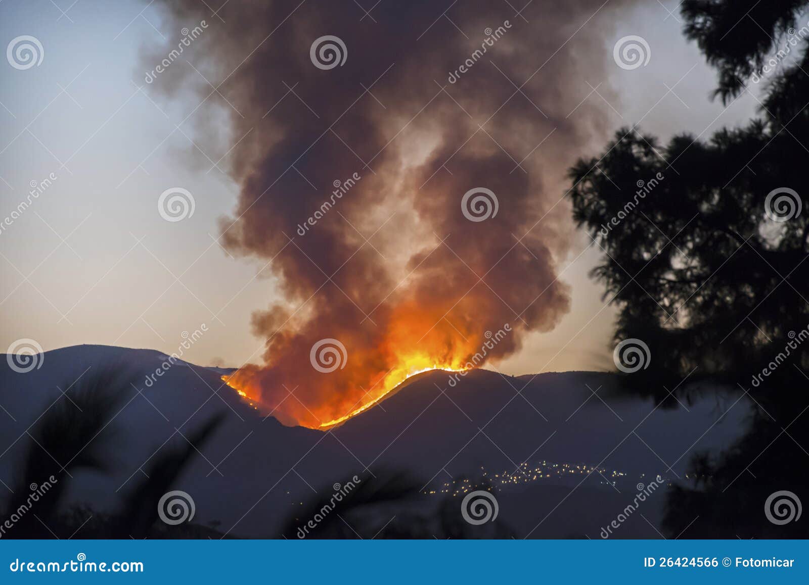 Forest Fire Near Bedar Village Stock Photo - Image of province, forest ...