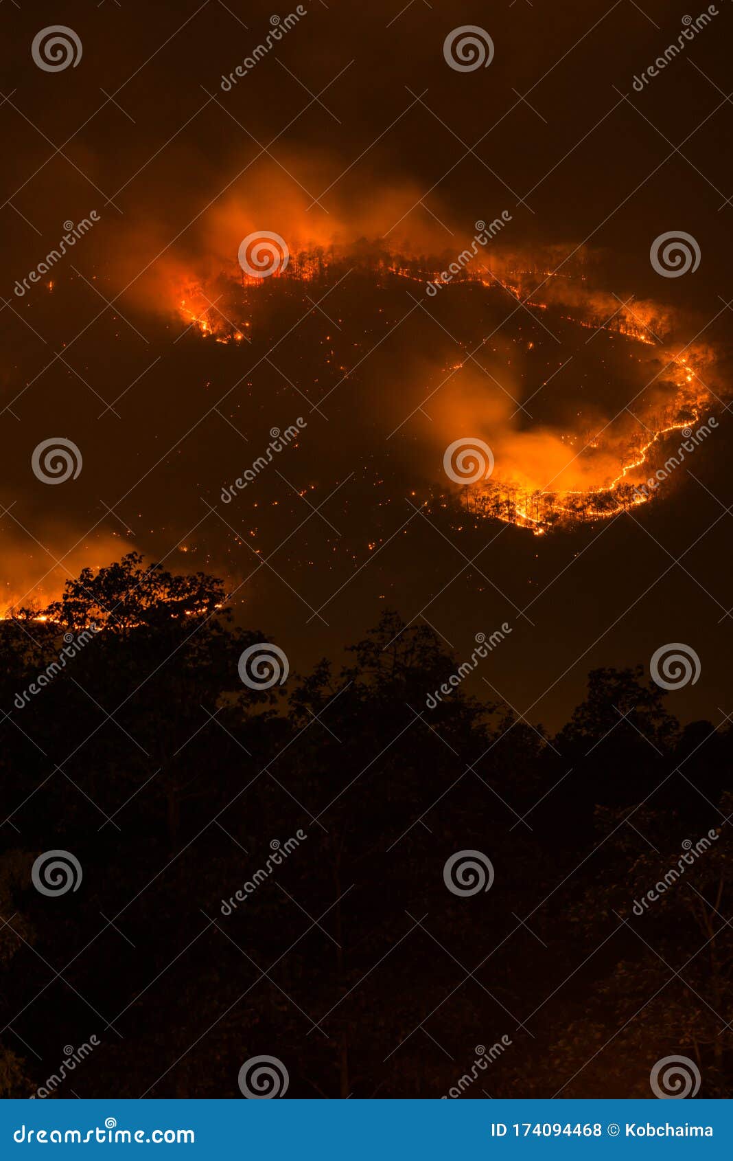 Forest Fire in Night stock photo. Image of county, rescue - 174094468