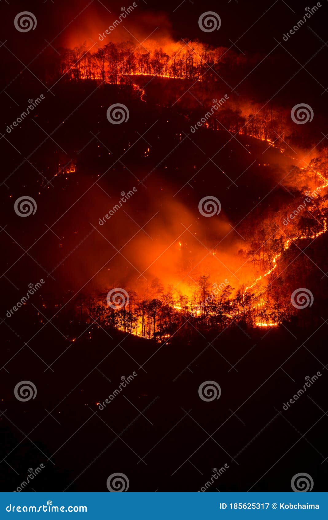 Forest Fire in Night stock image. Image of bushfire - 185625317